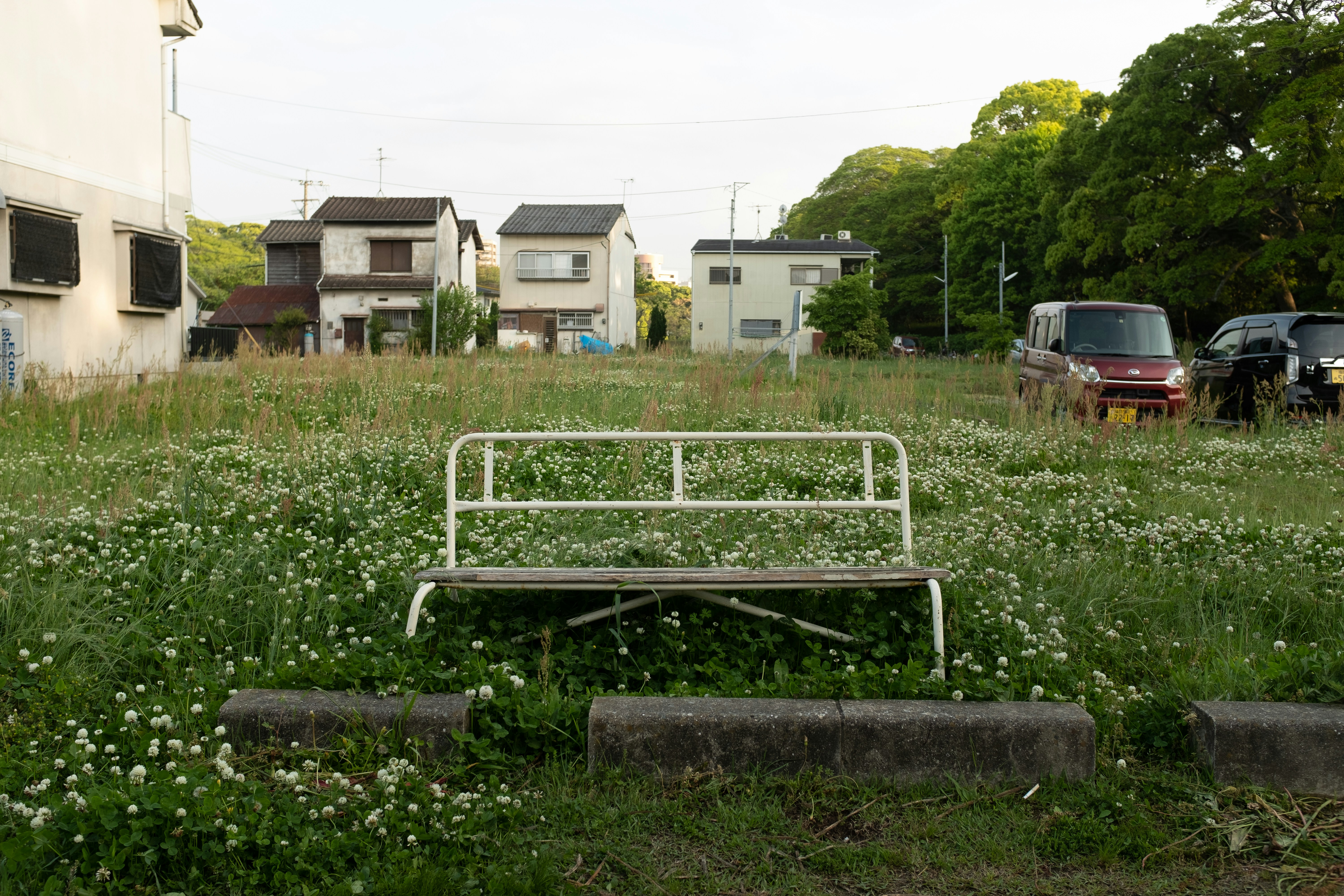An old metal bench surrounded by wild clover in an abandoned lot, with houses peeking through the overgrown grass. 