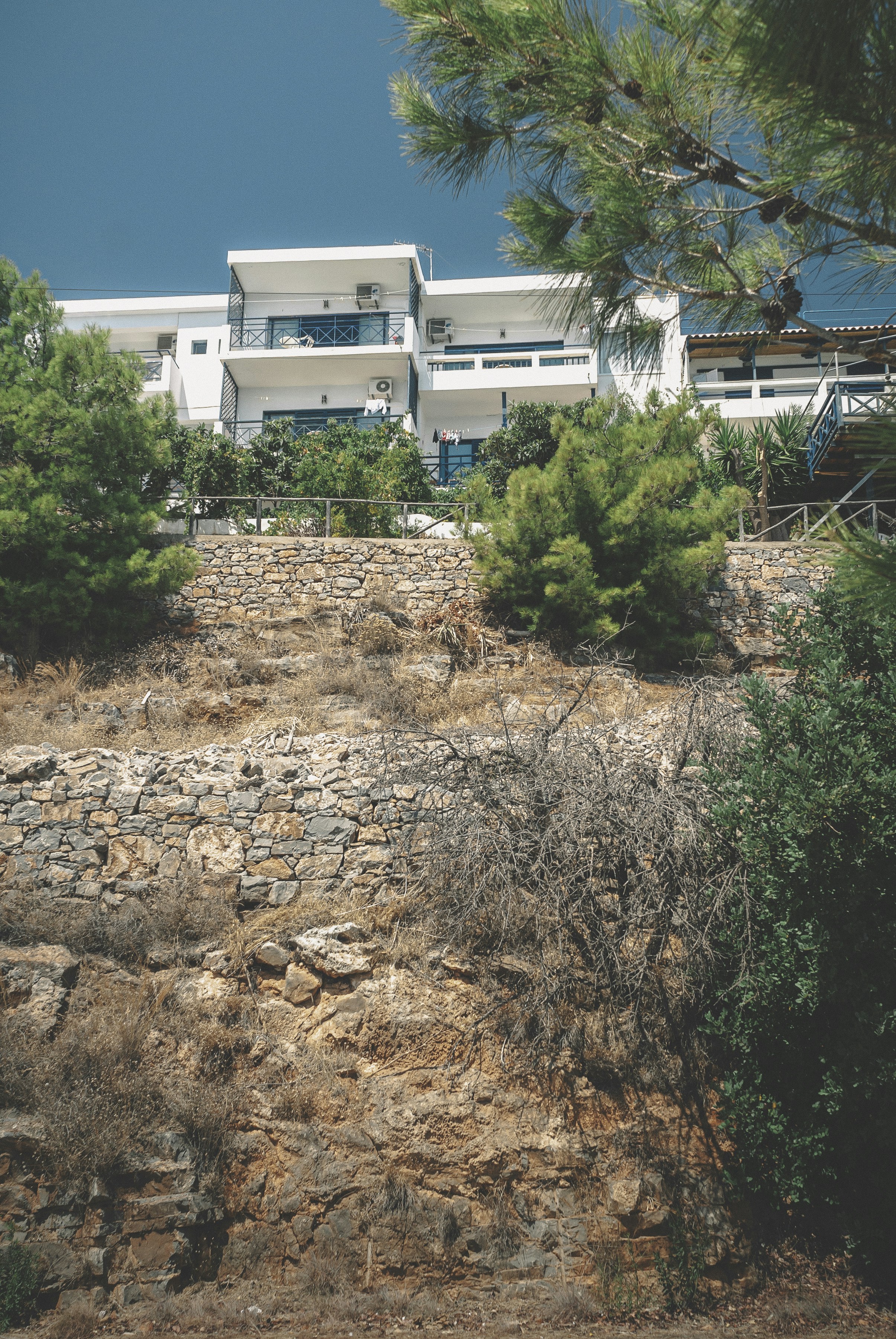 A contemporary building perched on a rocky hillside, surrounded by lush greenery and a clear blue sky. The scene captures the harmony between architecture and nature.
