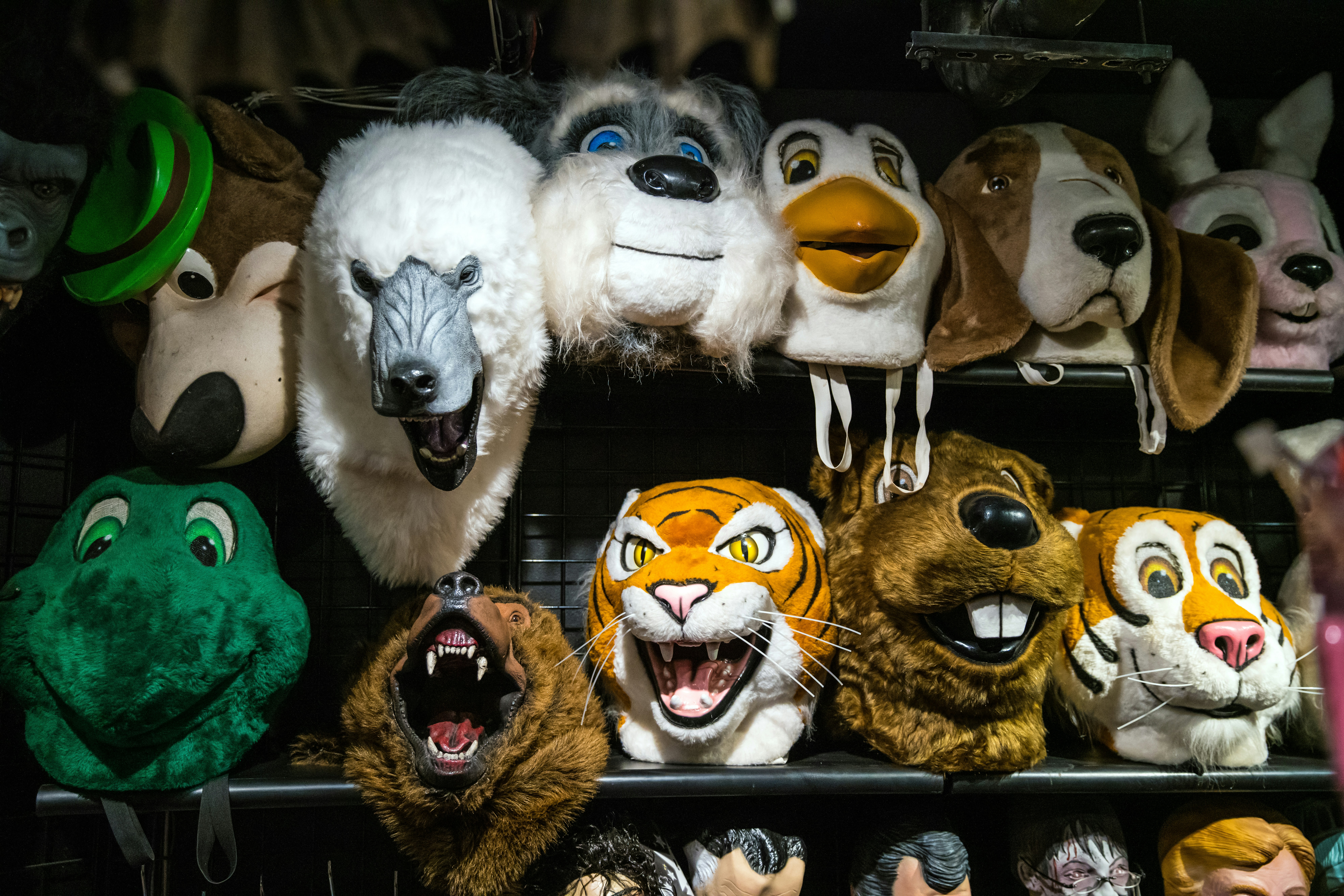 A collection of various animal masks, including a bear, dog, and tiger, displayed on a rack. The vibrant colors and playful expressions add a sense of fun.