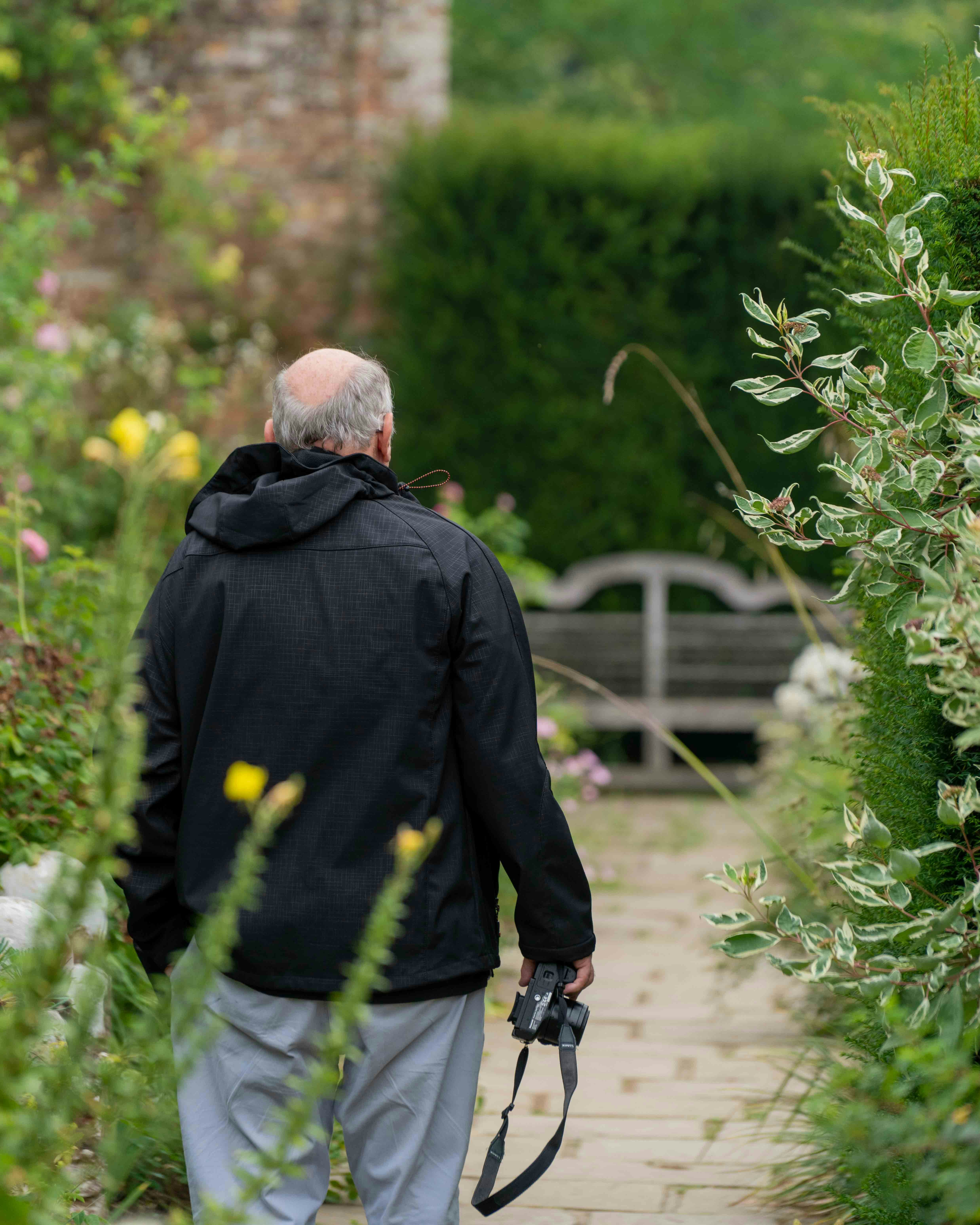 An elderly man walks along a stone path in a lush garden, surrounded by vibrant flowers and greenery.