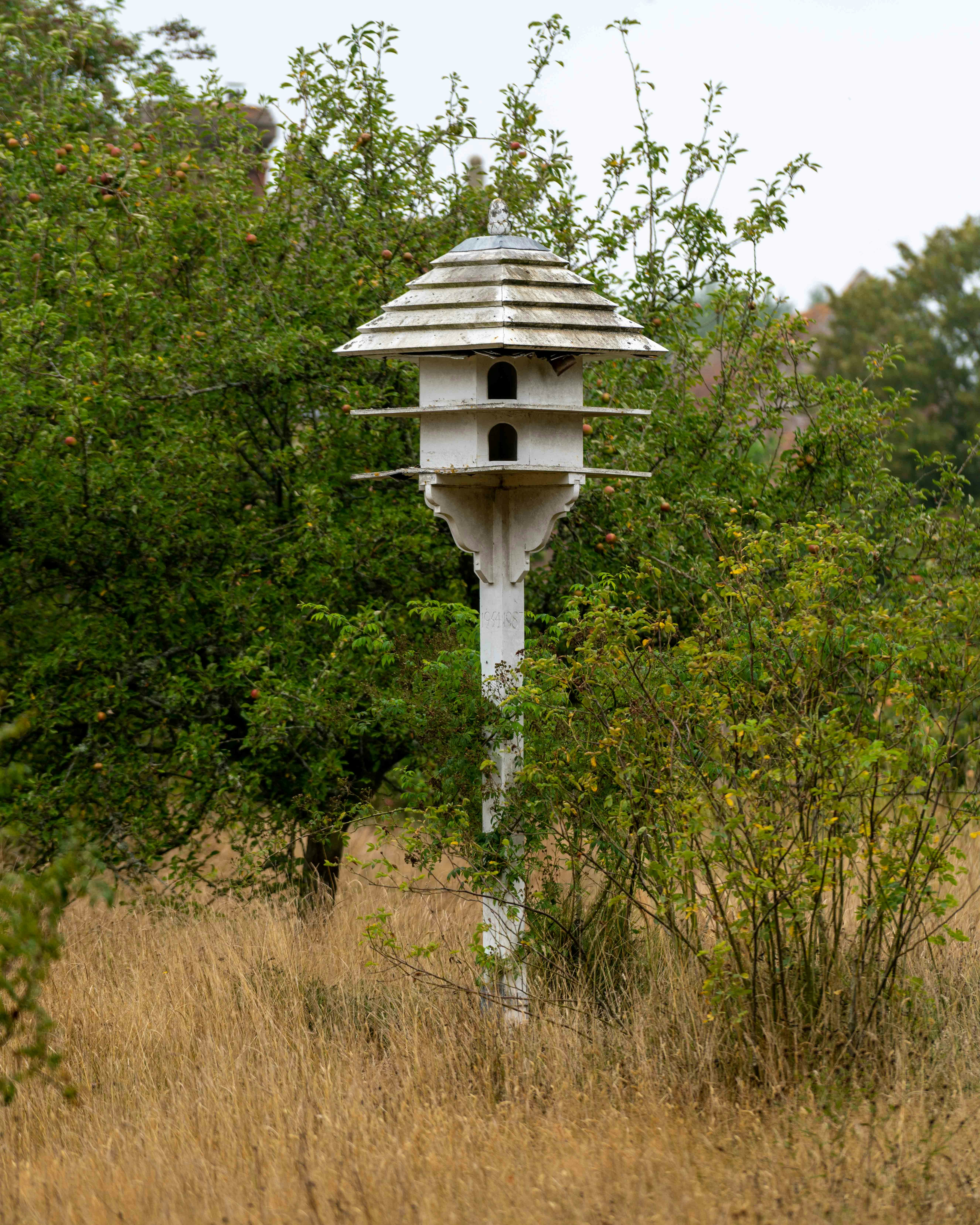 A charming birdhouse stands tall among lush greenery and golden grass, inviting feathered visitors. The intricate design and serene setting create a peaceful scene.