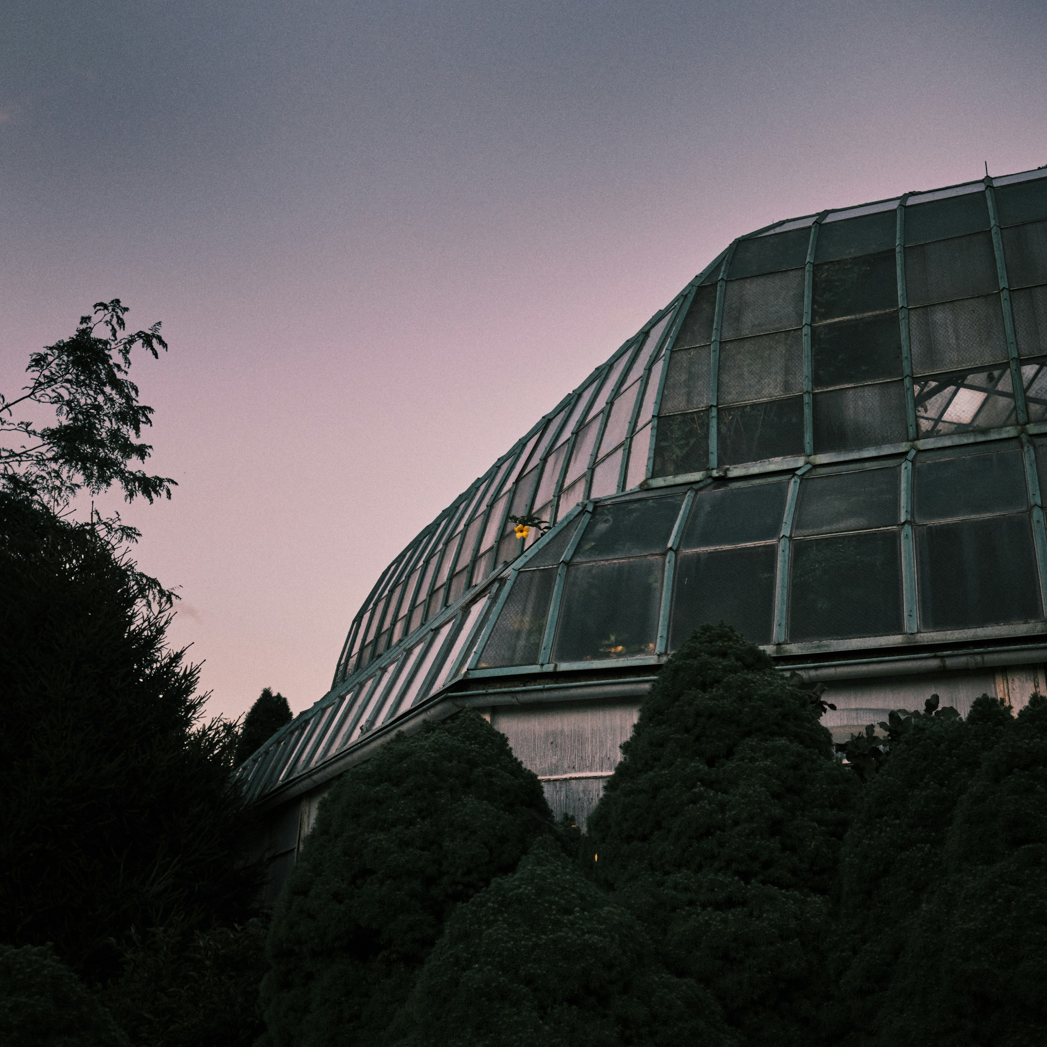 A modern greenhouse structure framed by lush greenery under a twilight sky.