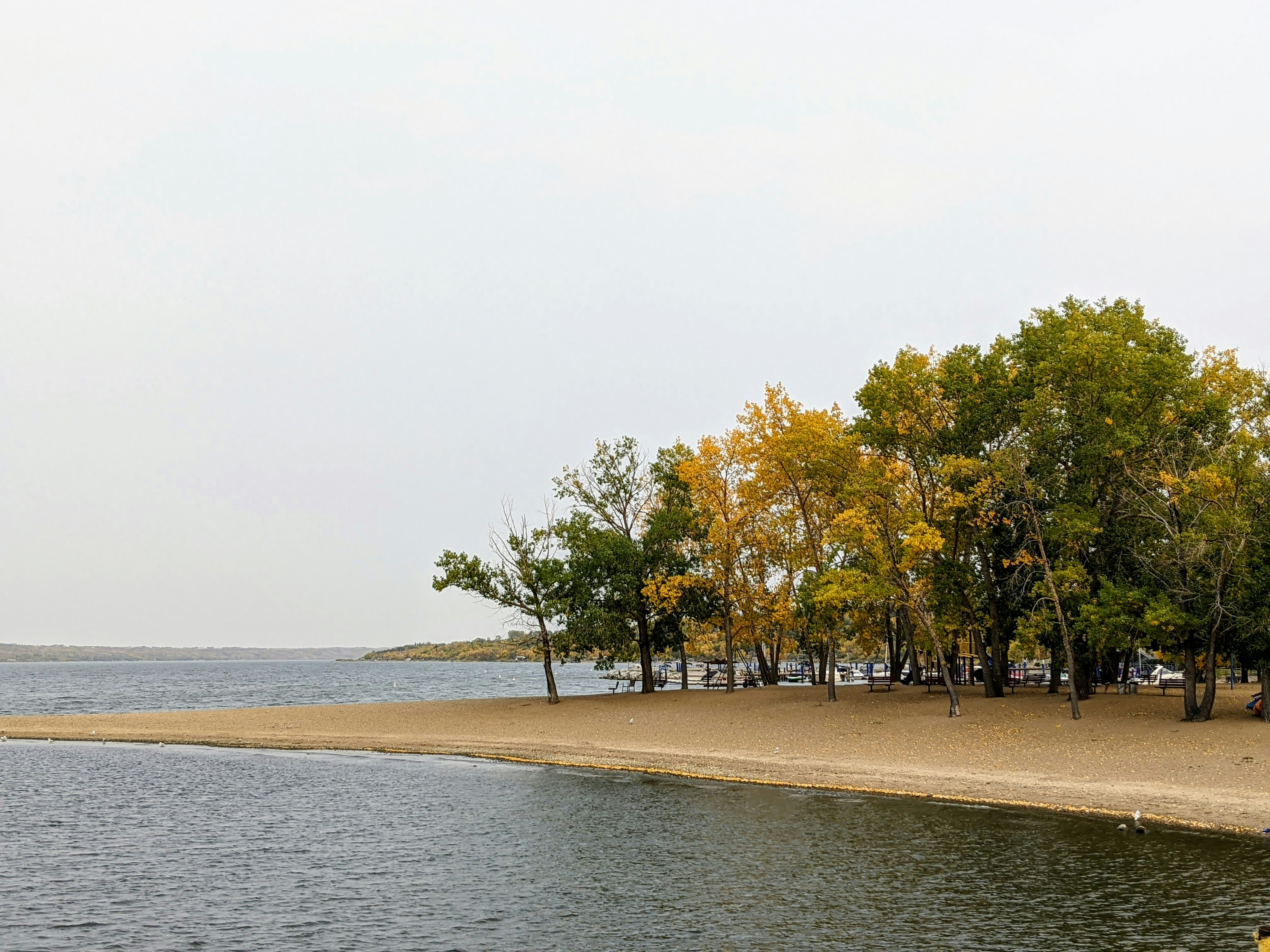 Sandy shoreline with vibrant autumn trees beside a calm lake under an overcast sky.