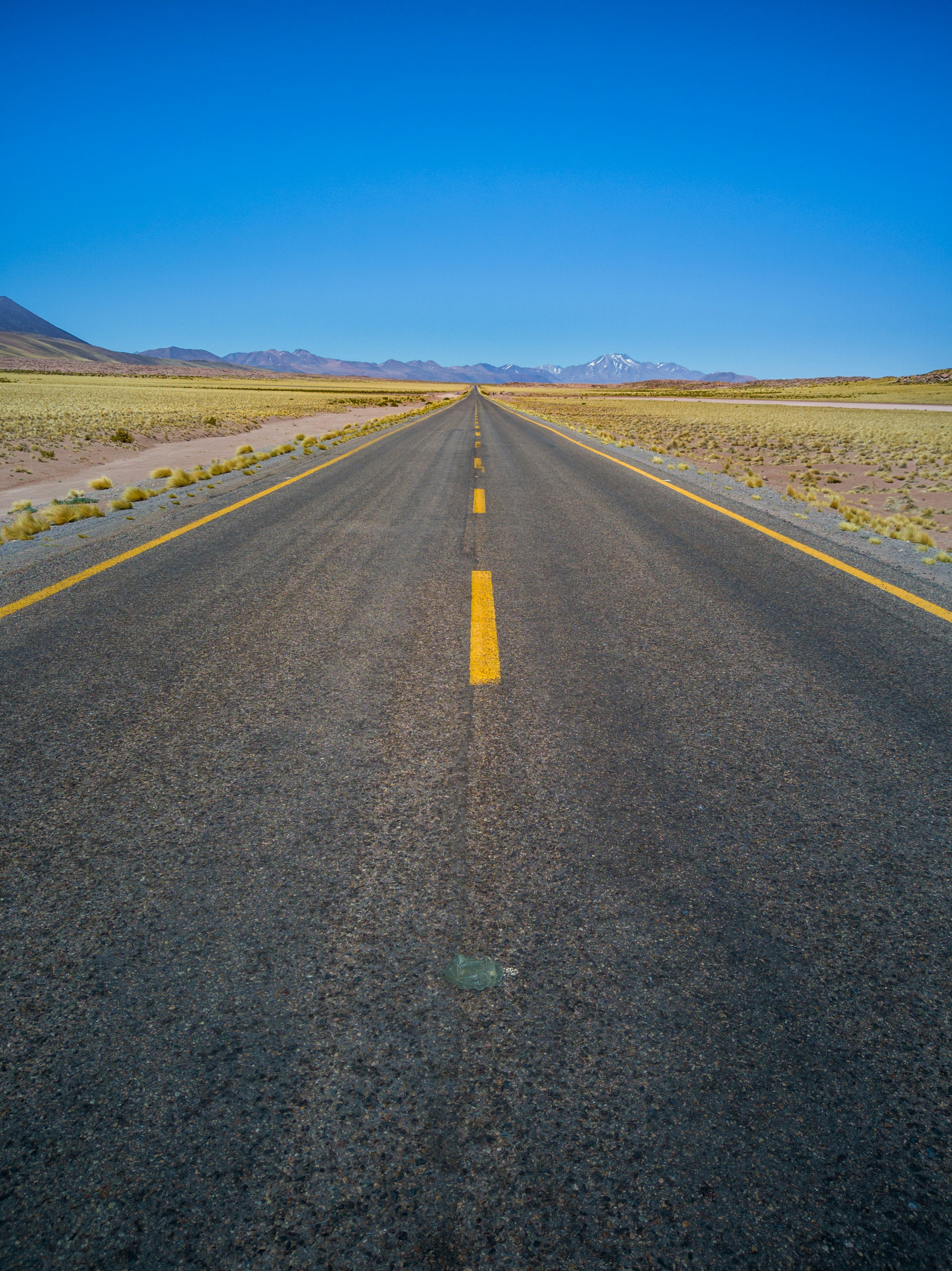 A long, straight road stretches into the horizon, flanked by sparse vegetation and distant mountains under a clear blue sky.