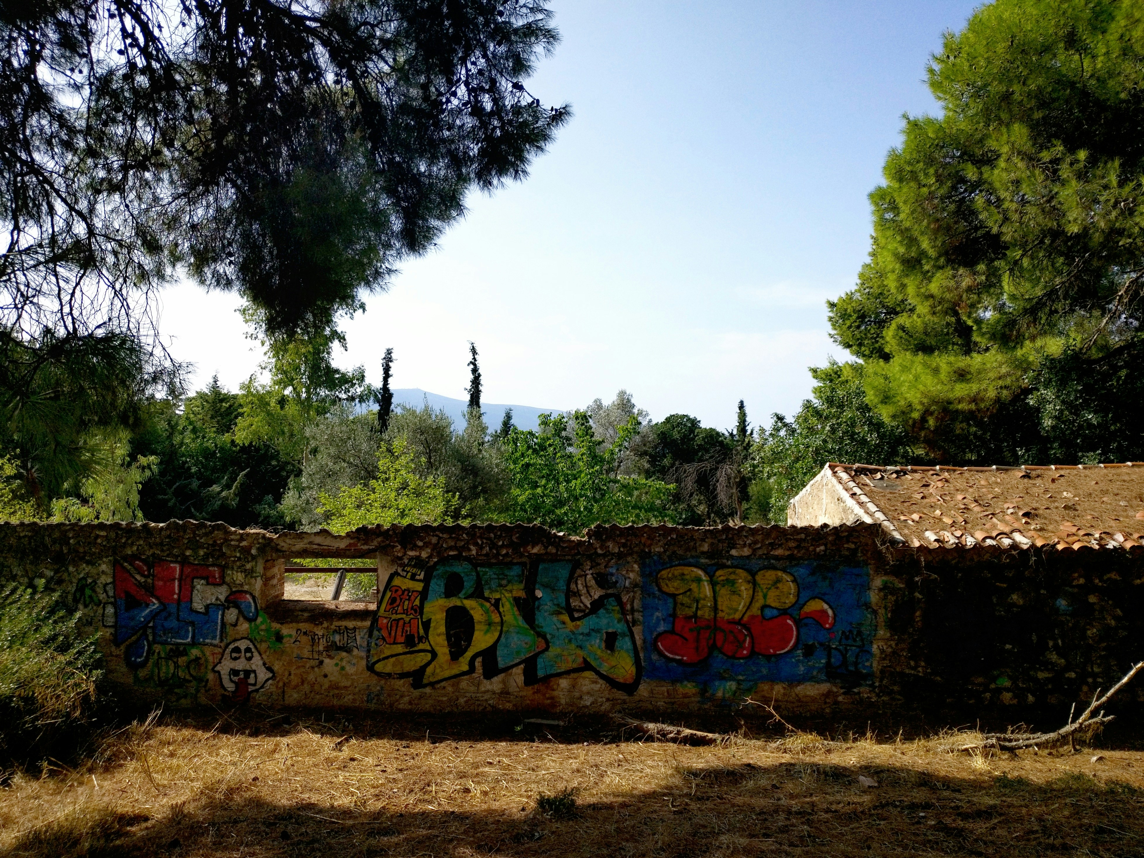 A weathered wall splashed with colorful graffiti sits in front of a rustic tiled-roof structure, with dry grass in the foreground and a bright blue sky overhead.
