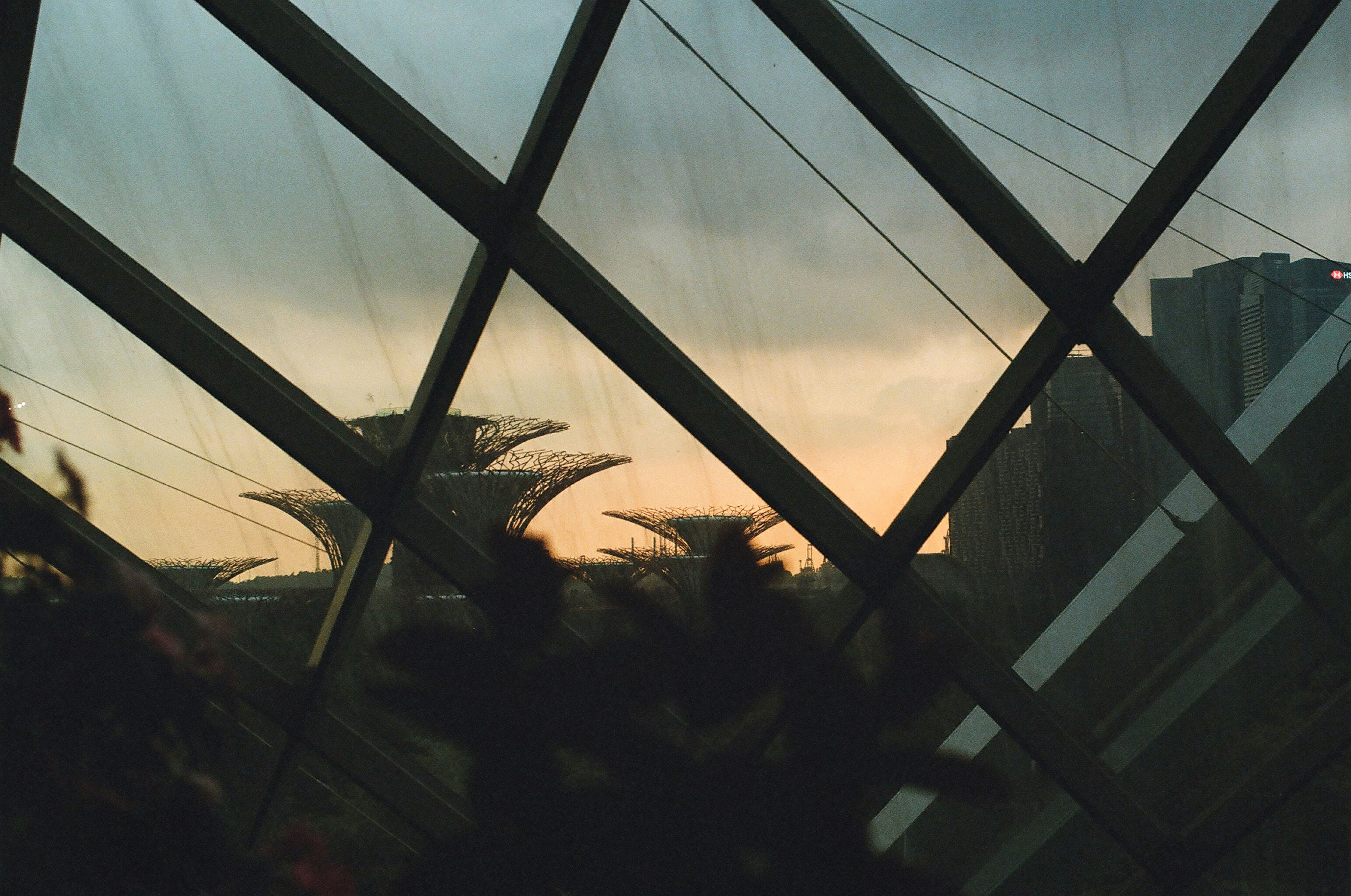 Palmier vert à l’intérieur du bâtiment photo – Image gratuite de ...