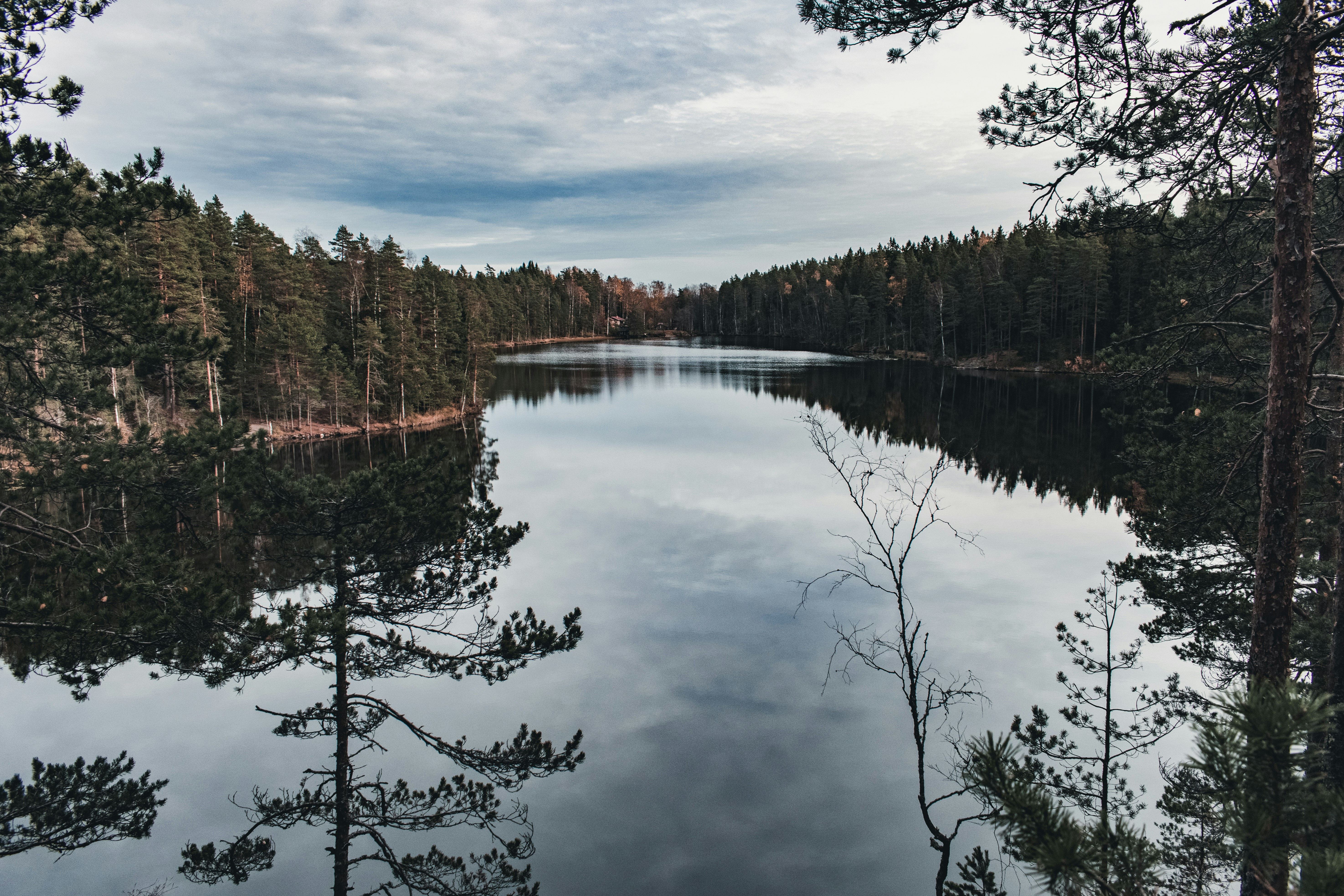 Serene lake reflecting surrounding pine trees under a cloudy sky, showcasing nature's peaceful ambiance.