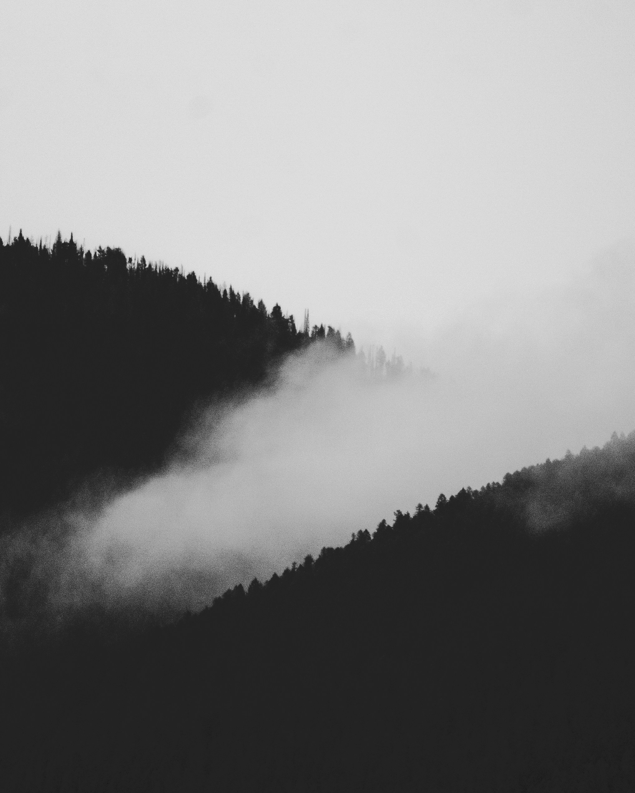 Silhouetted mountain range shrouded in fog, evoking a sense of mystery and tranquility. Monochrome tones enhance the atmospheric depth.