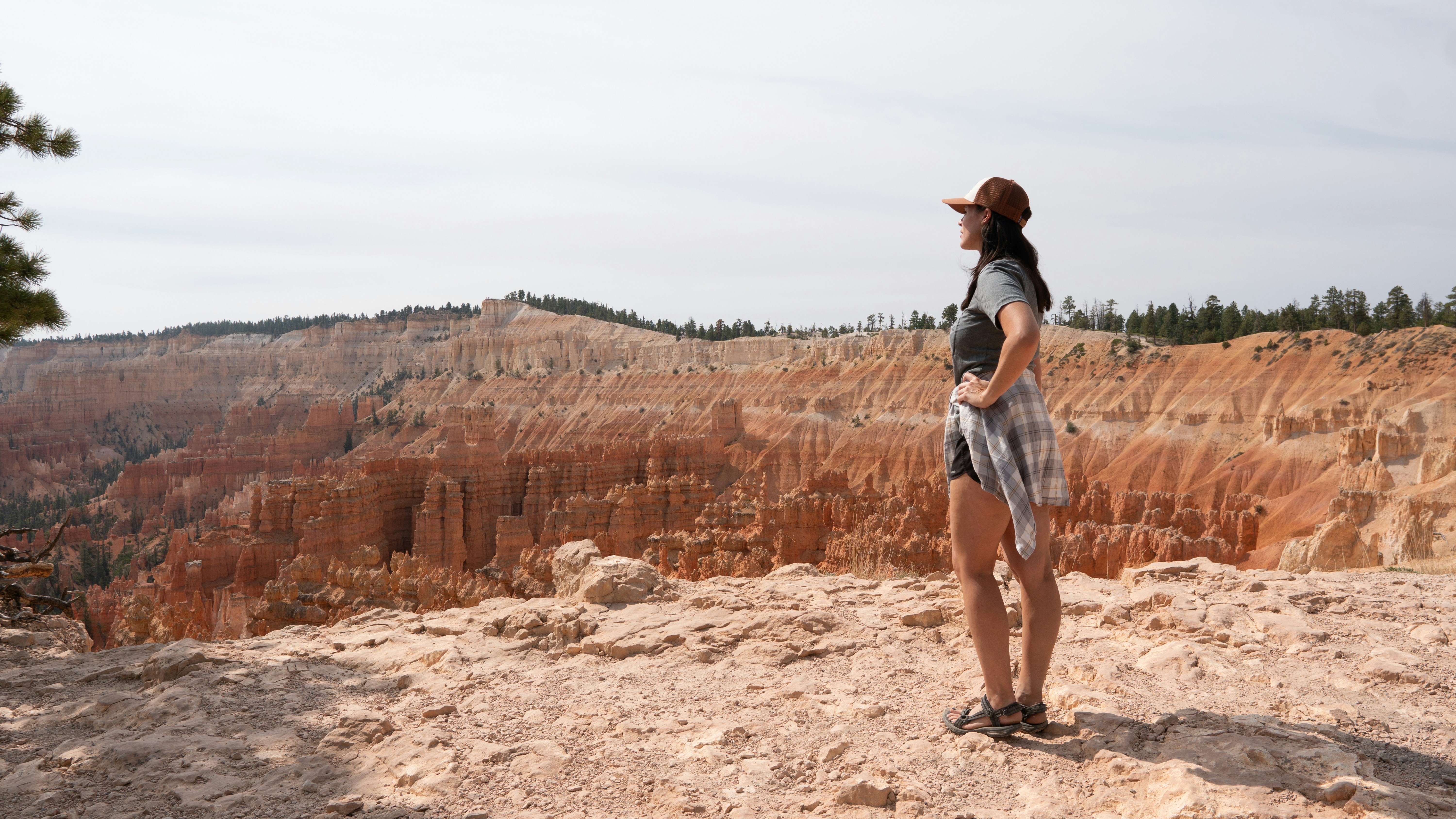 Edge of the Painted Canyon: A Hiker Pauses on the Rim