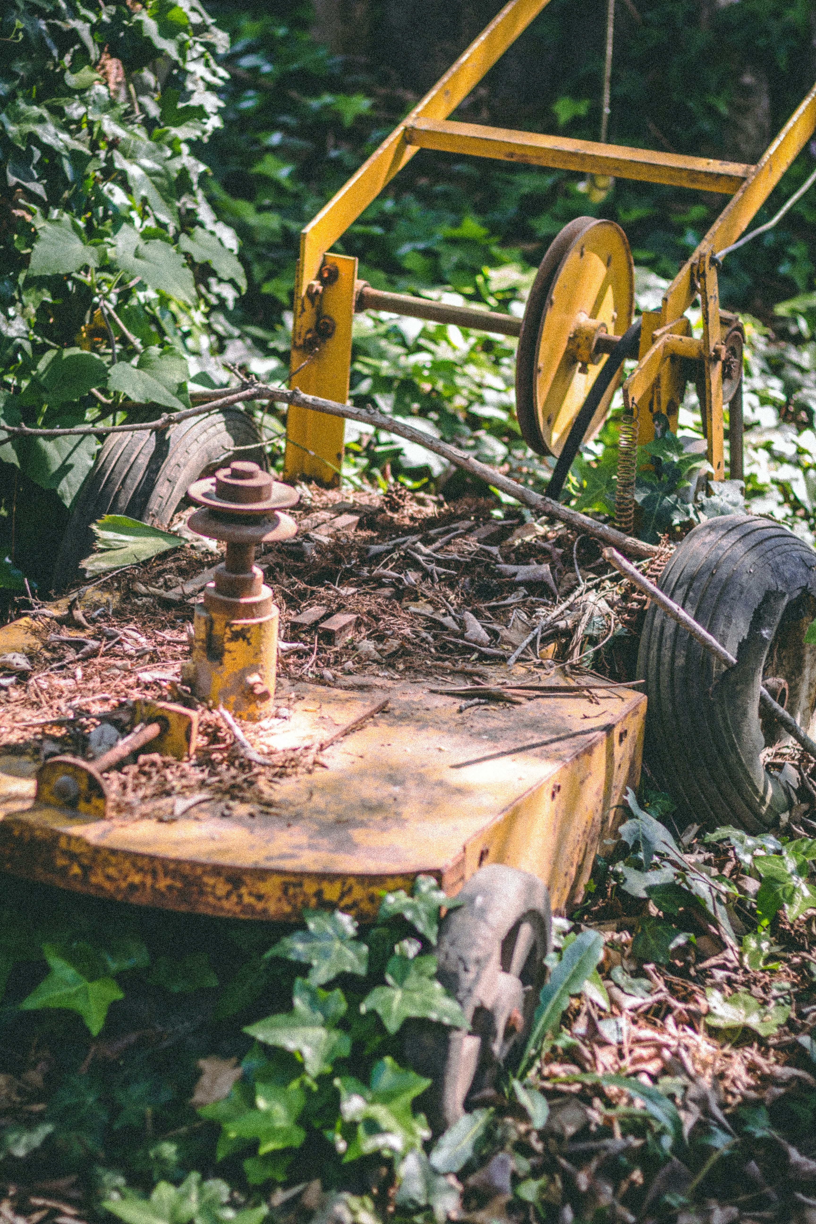 Overgrown Cutter: A Rusted Yellow Machine Reclaims the Forest