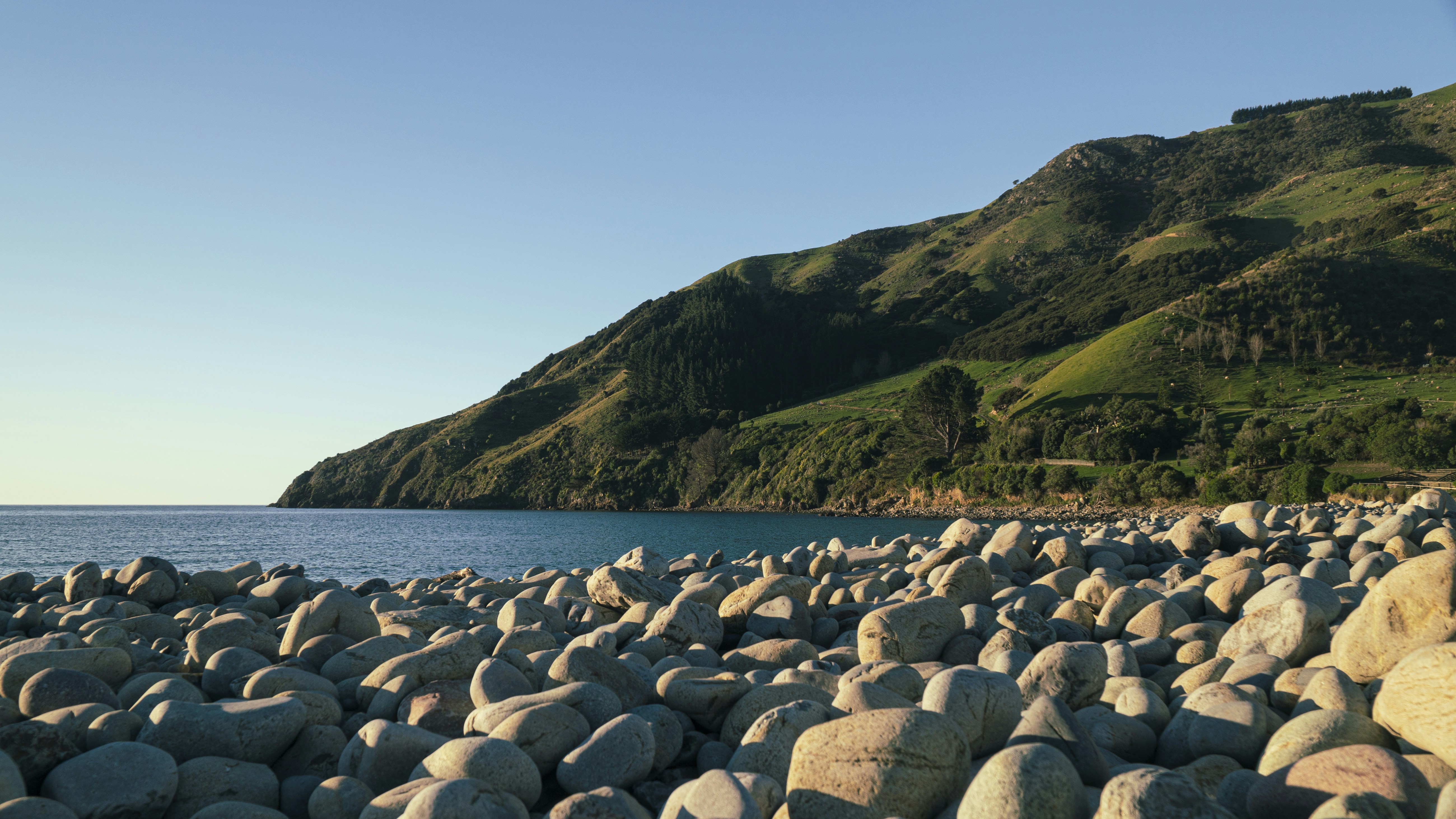 Rock-strewn shoreline beneath a sunlit hillside