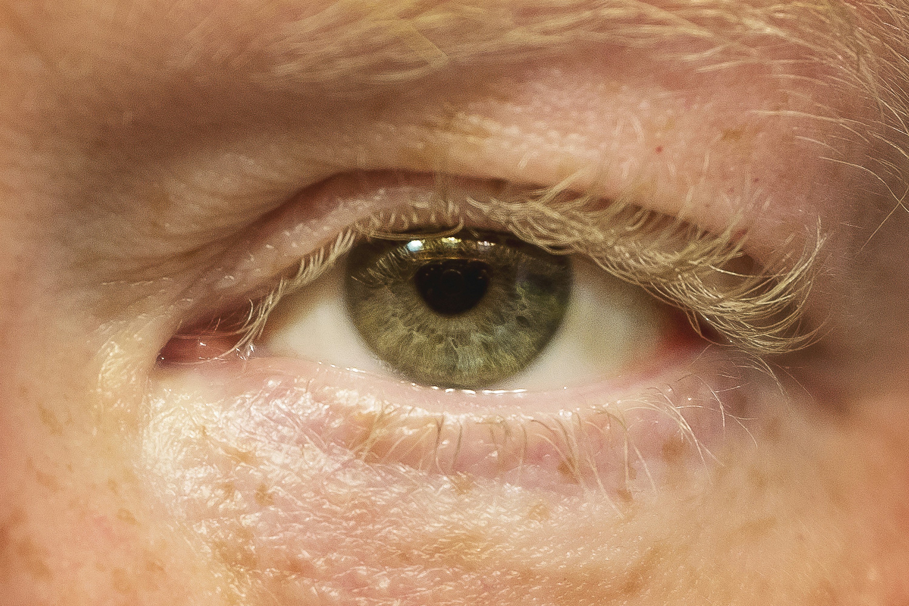 Close-up of a human eye showcasing intricate details of the iris and eyelashes. The image highlights the unique color and texture of the eye.