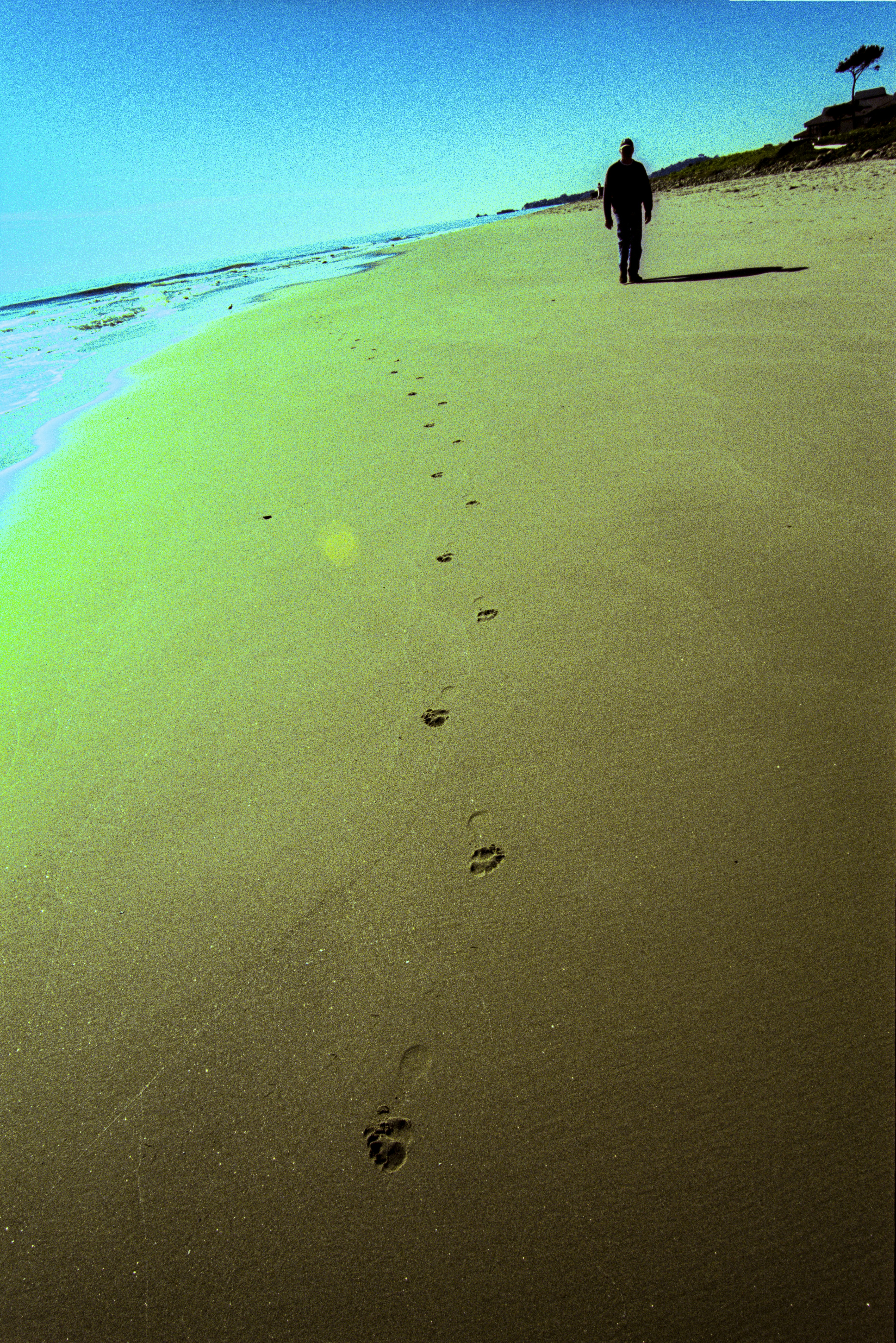Green and white stones on beach shore during daytime photo – Free ...