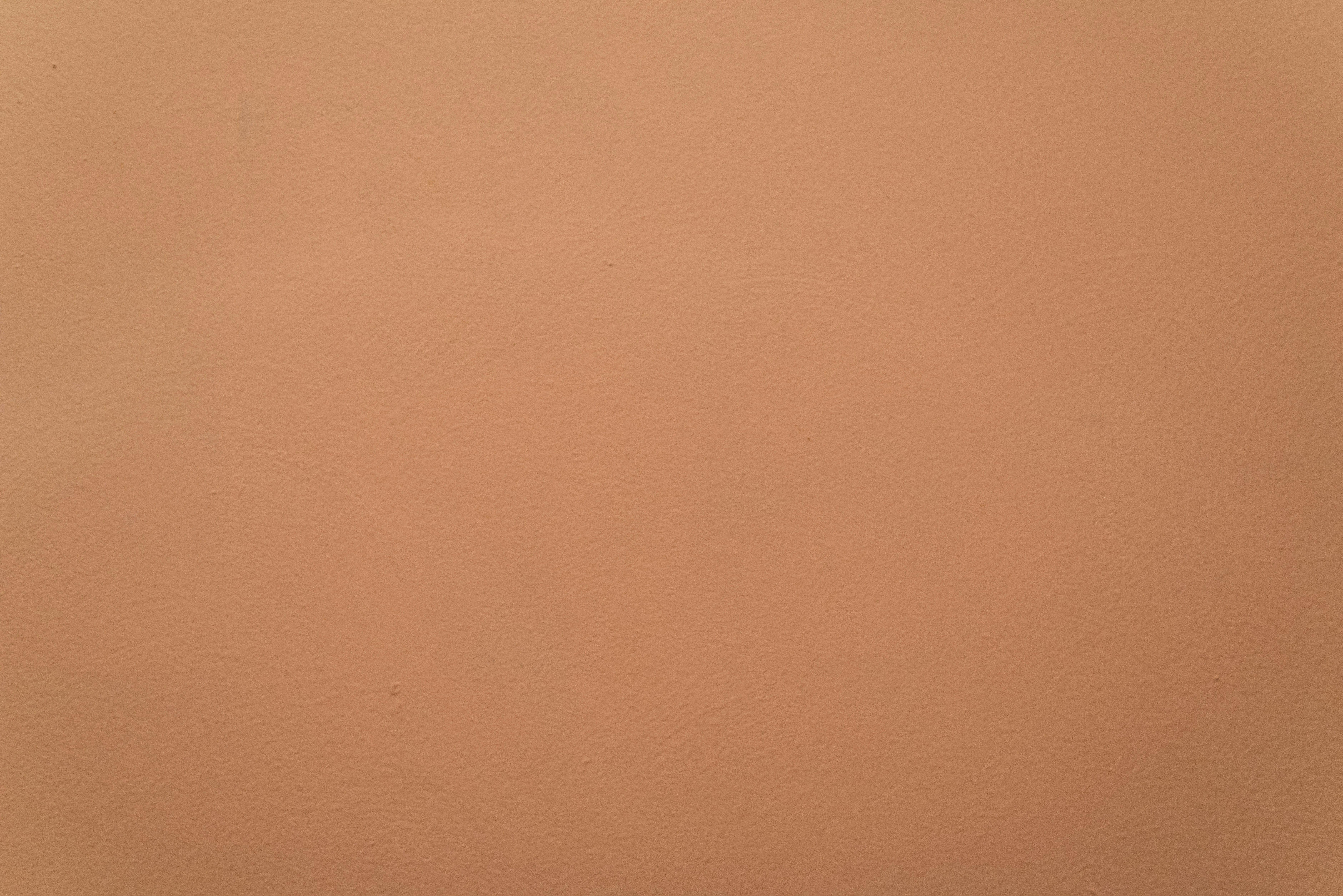 Imágenes de Fondos Color Cafe | Descarga imágenes gratuitas en Unsplash