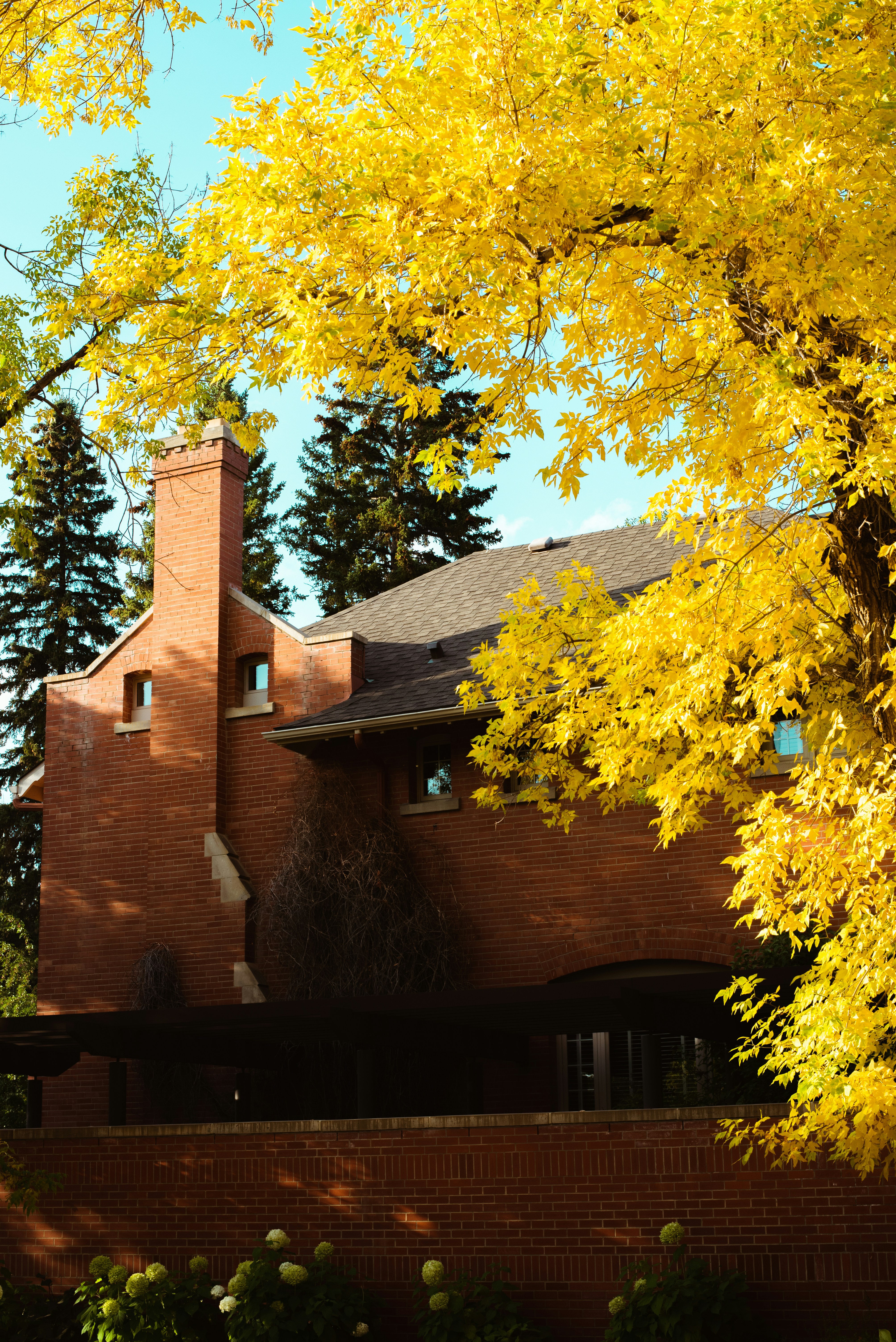Brown brick house near yellow leaf tree during daytime photo – Free ...