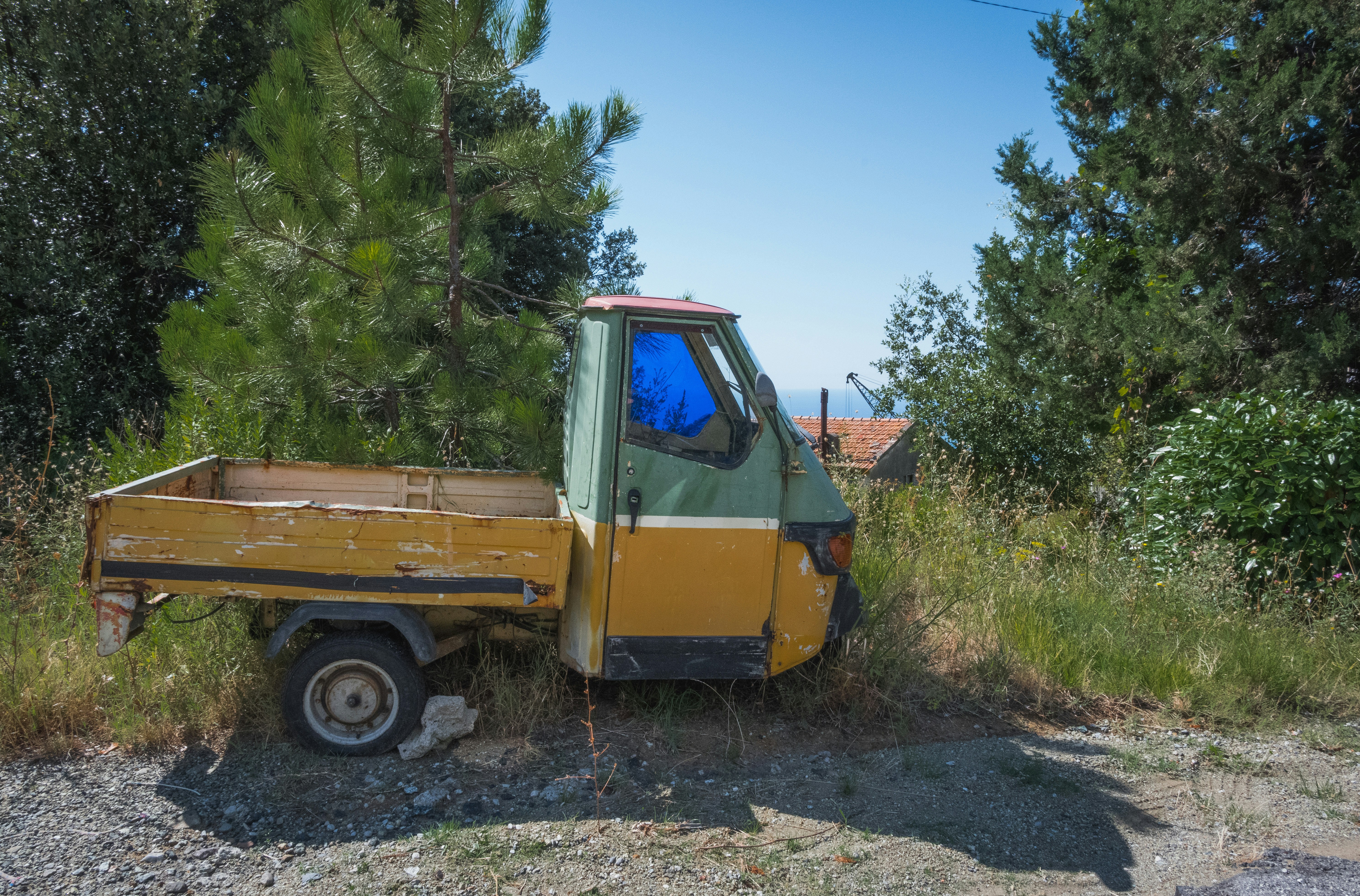 Rusted Workhorse by the Pine Ridge
