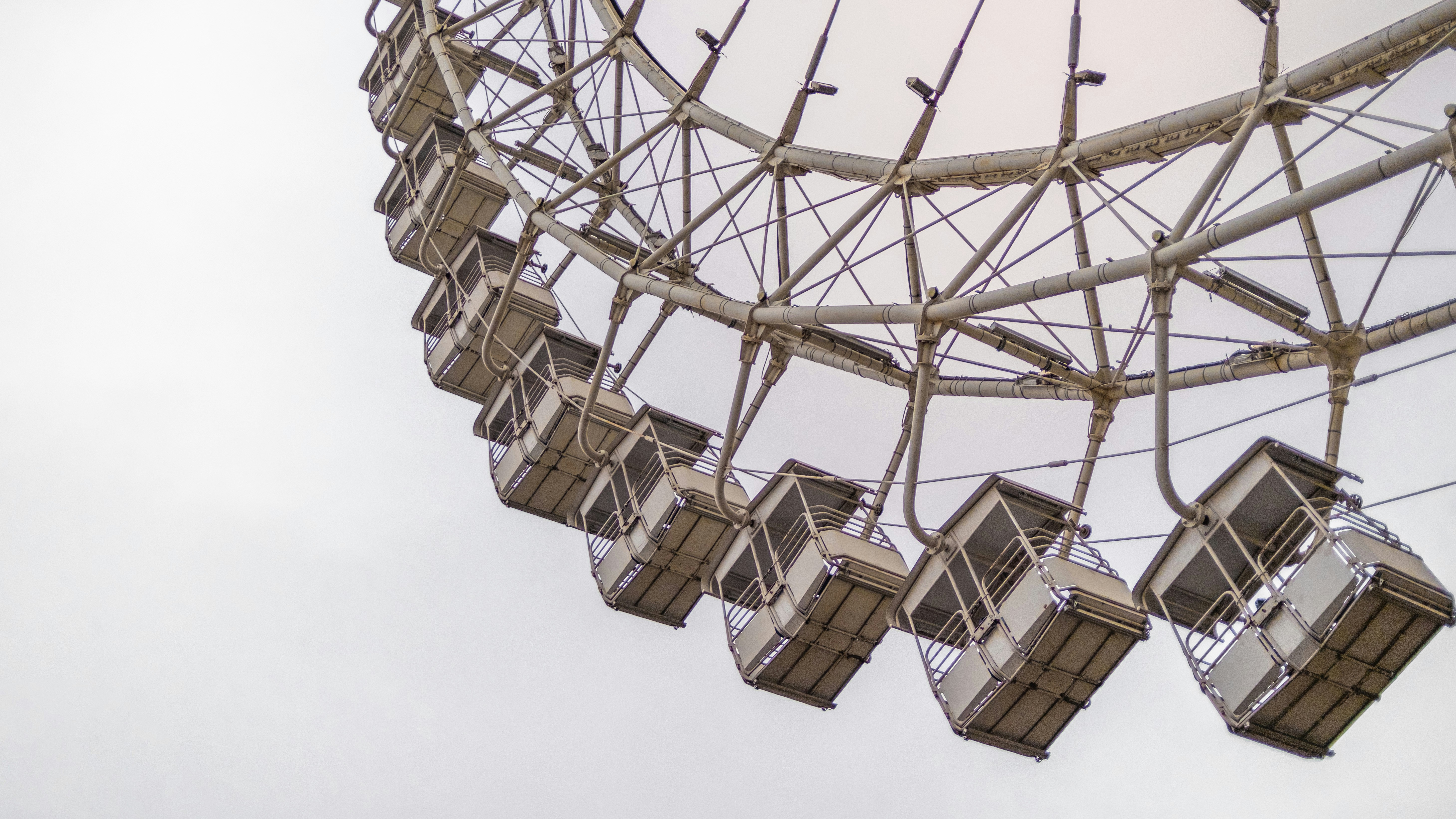 brown and white ferris wheel