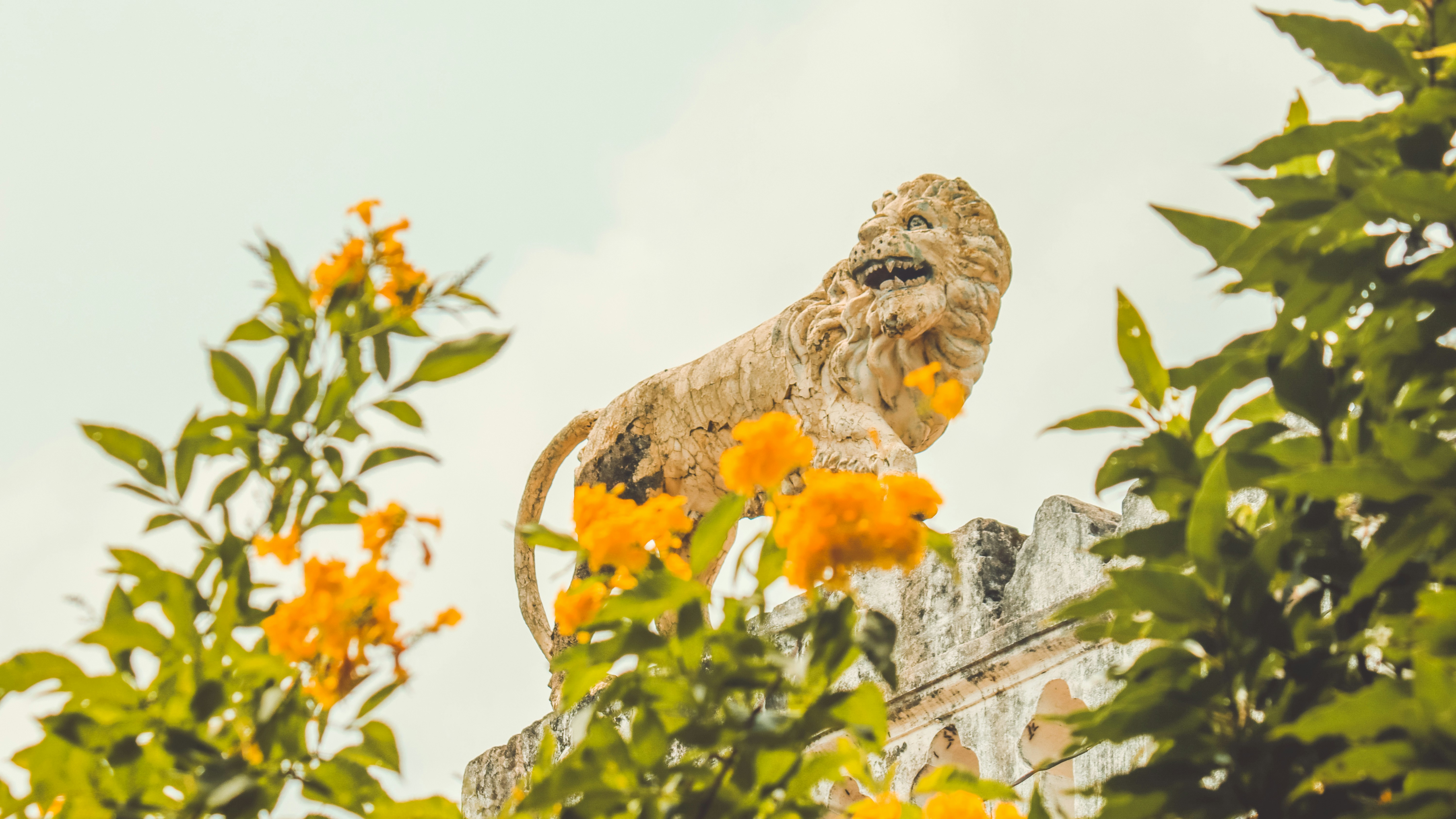 Week of August 12, 2024 - by Annabel Gat