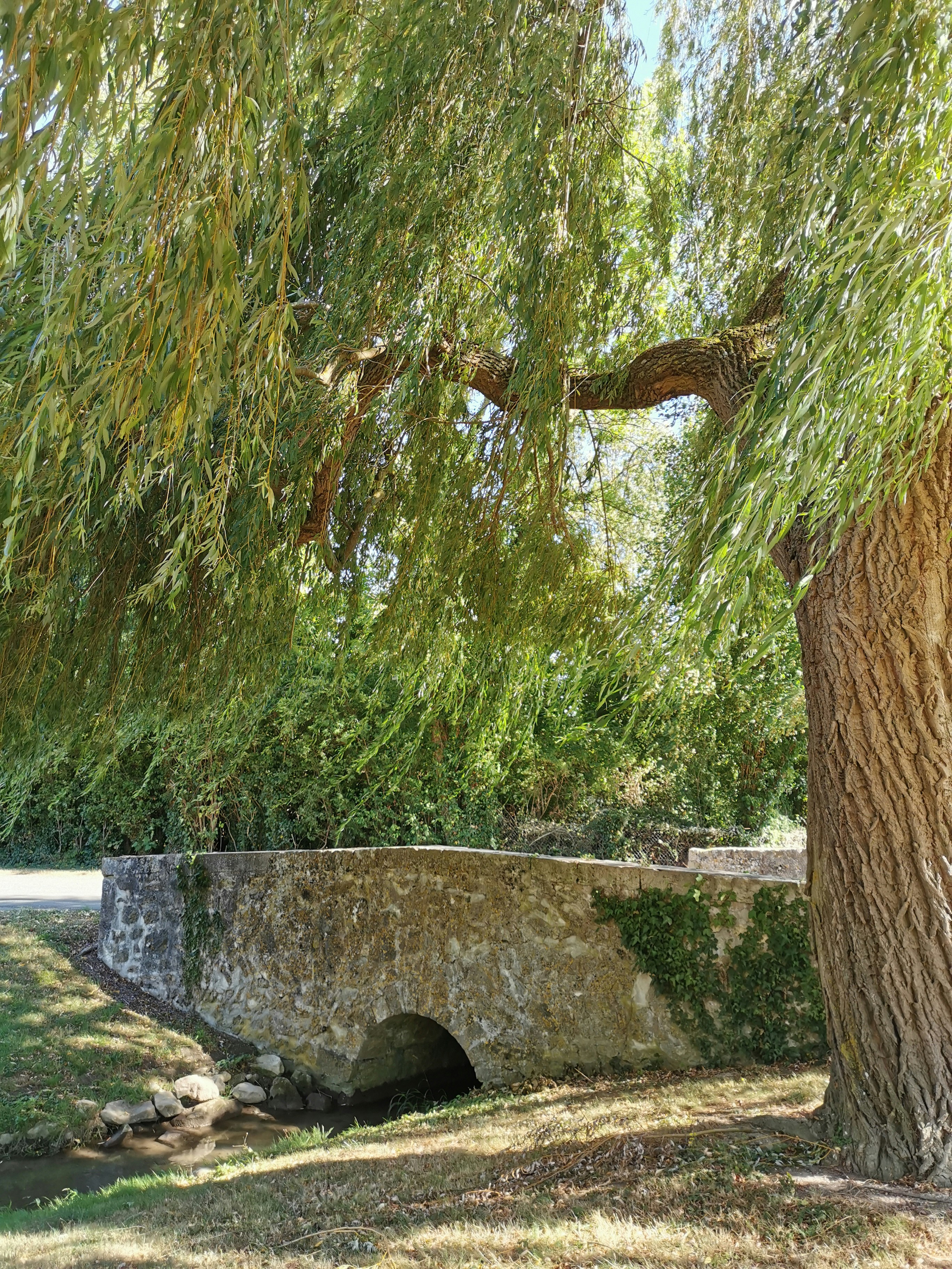 A serene stone bridge nestled under the lush branches of a willow tree, surrounded by vibrant greenery and a gentle stream. 