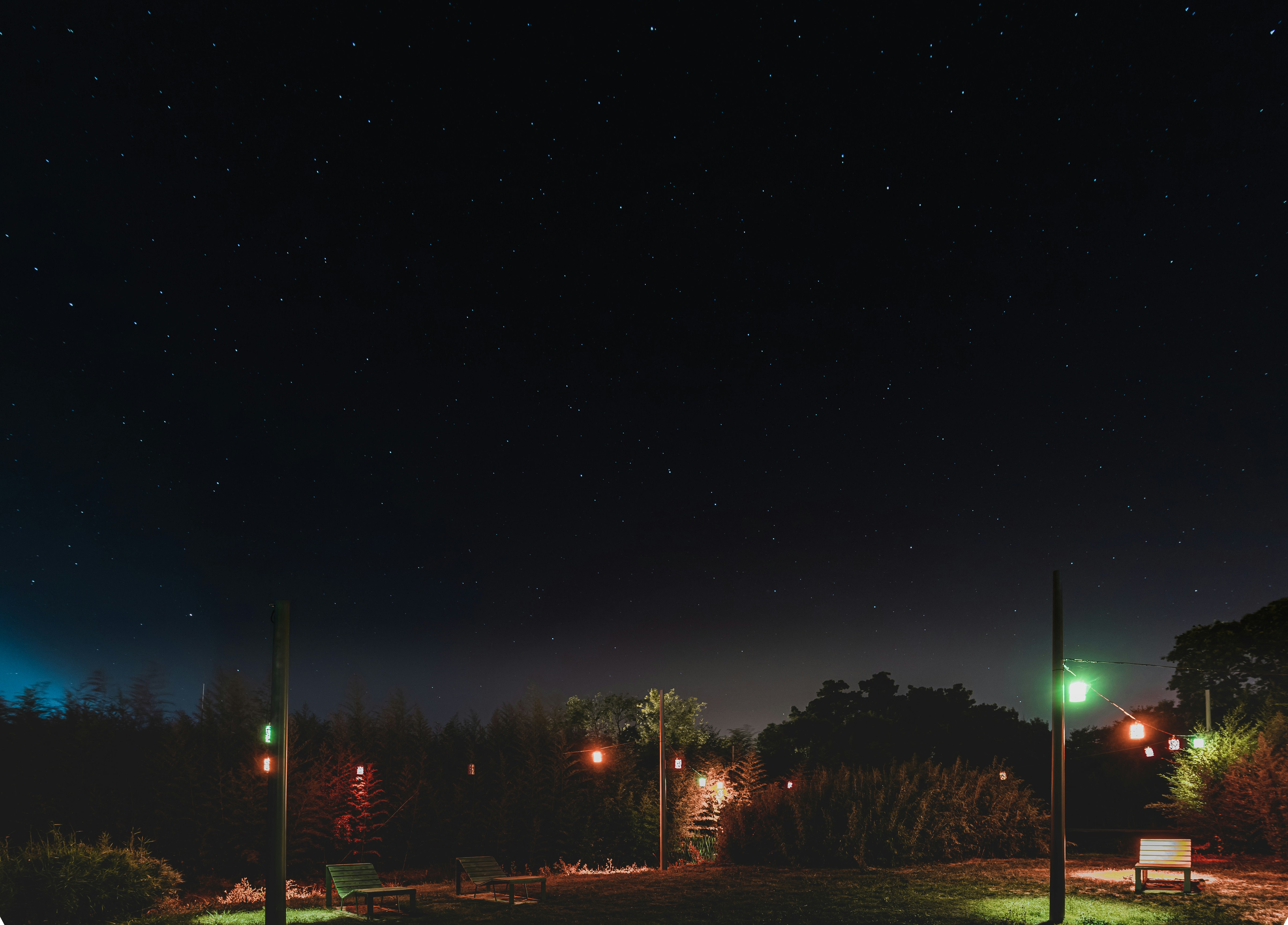 Lanterns at the Edge of Night, Under a Star-Dusted Park Sky