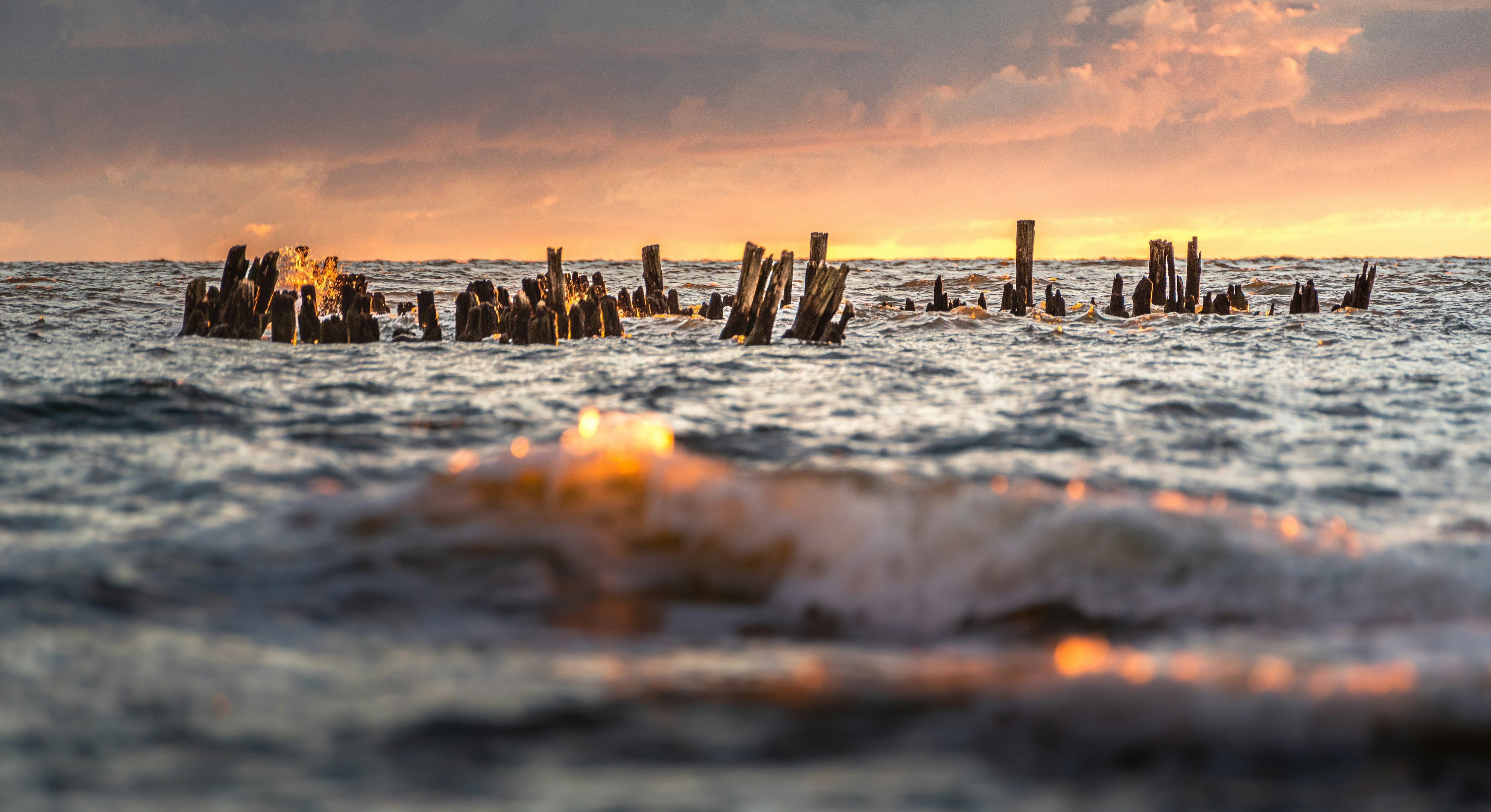 Weathered wooden posts rise from the Baltic Sea as vibrant sunrise hues illuminate the horizon.