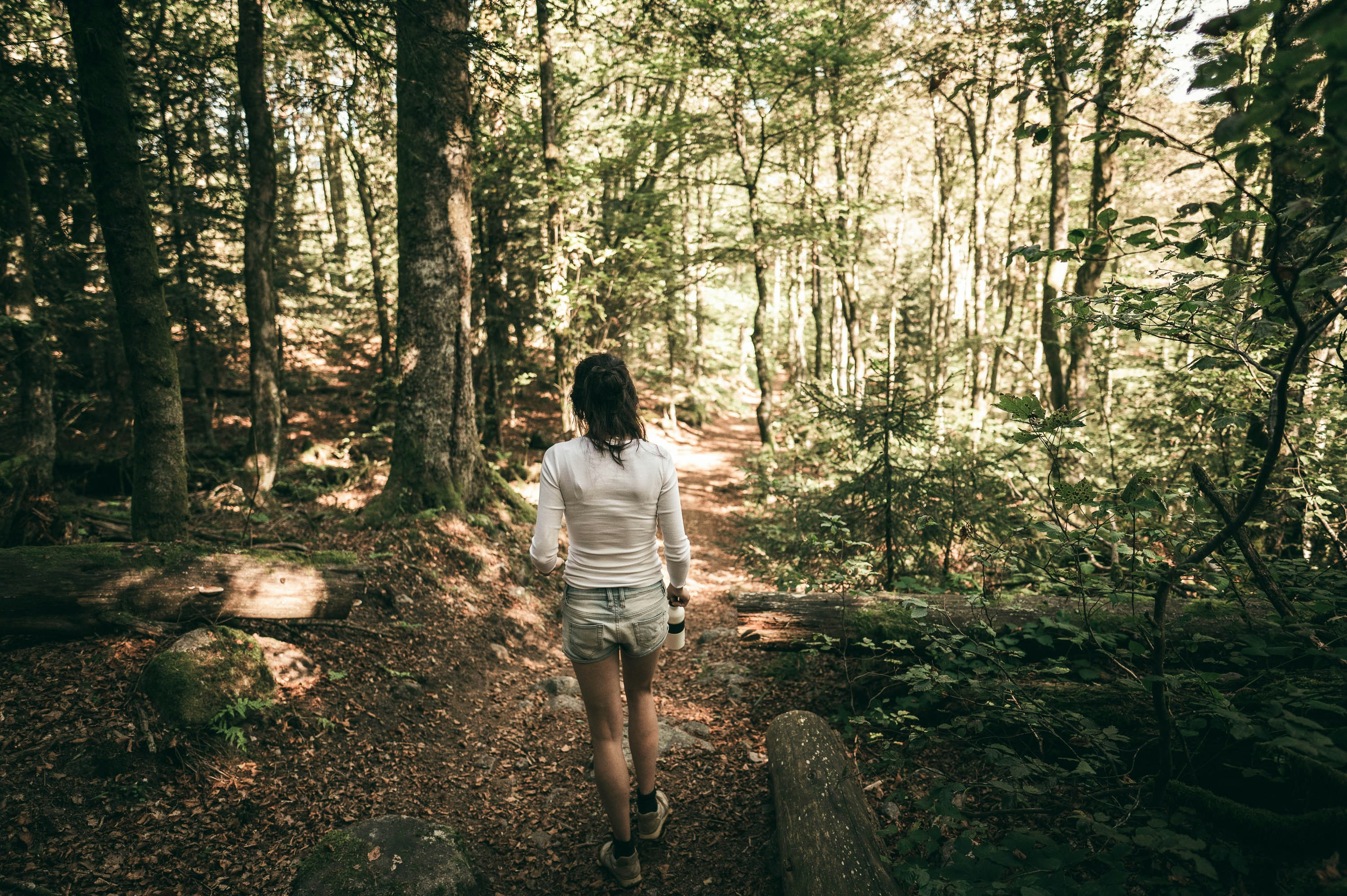 Walking In Nature Pictures | Download Free Images on Unsplash