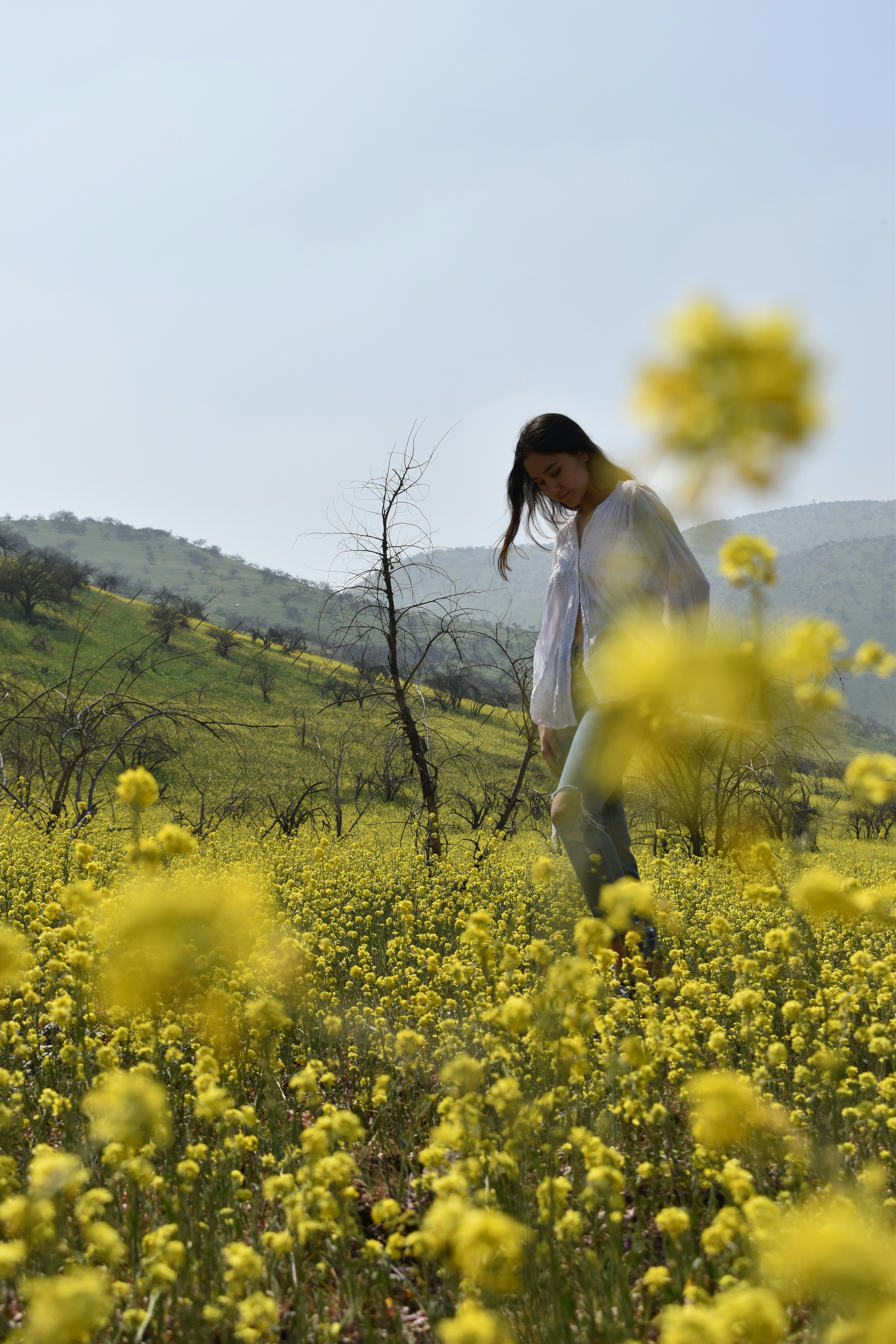 30,000+ No Filter Pictures | Download Free Images on Unsplash