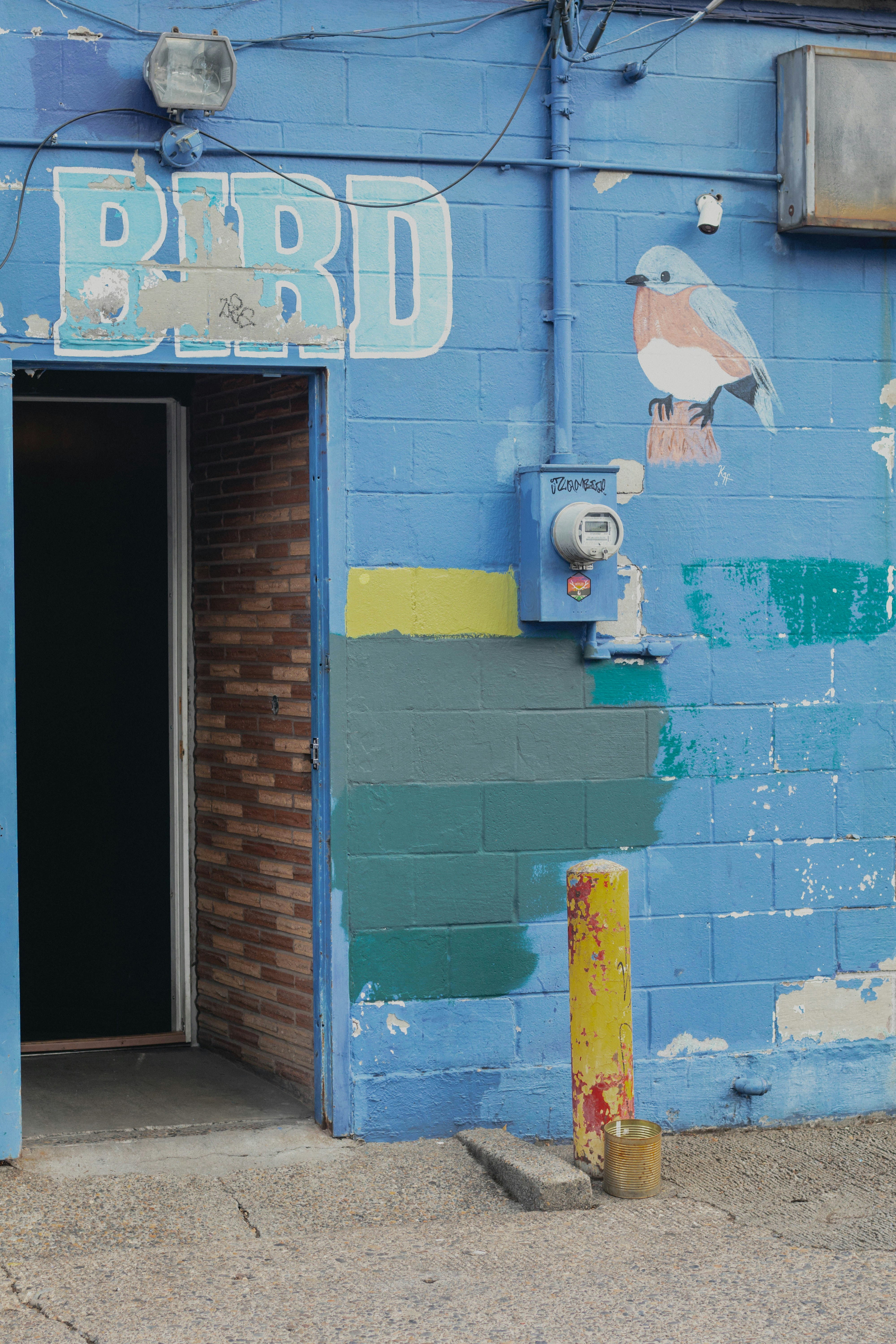 Cobalt Bird Mural by the Doorway: Weathered Color Blocks and a Watchful Perch