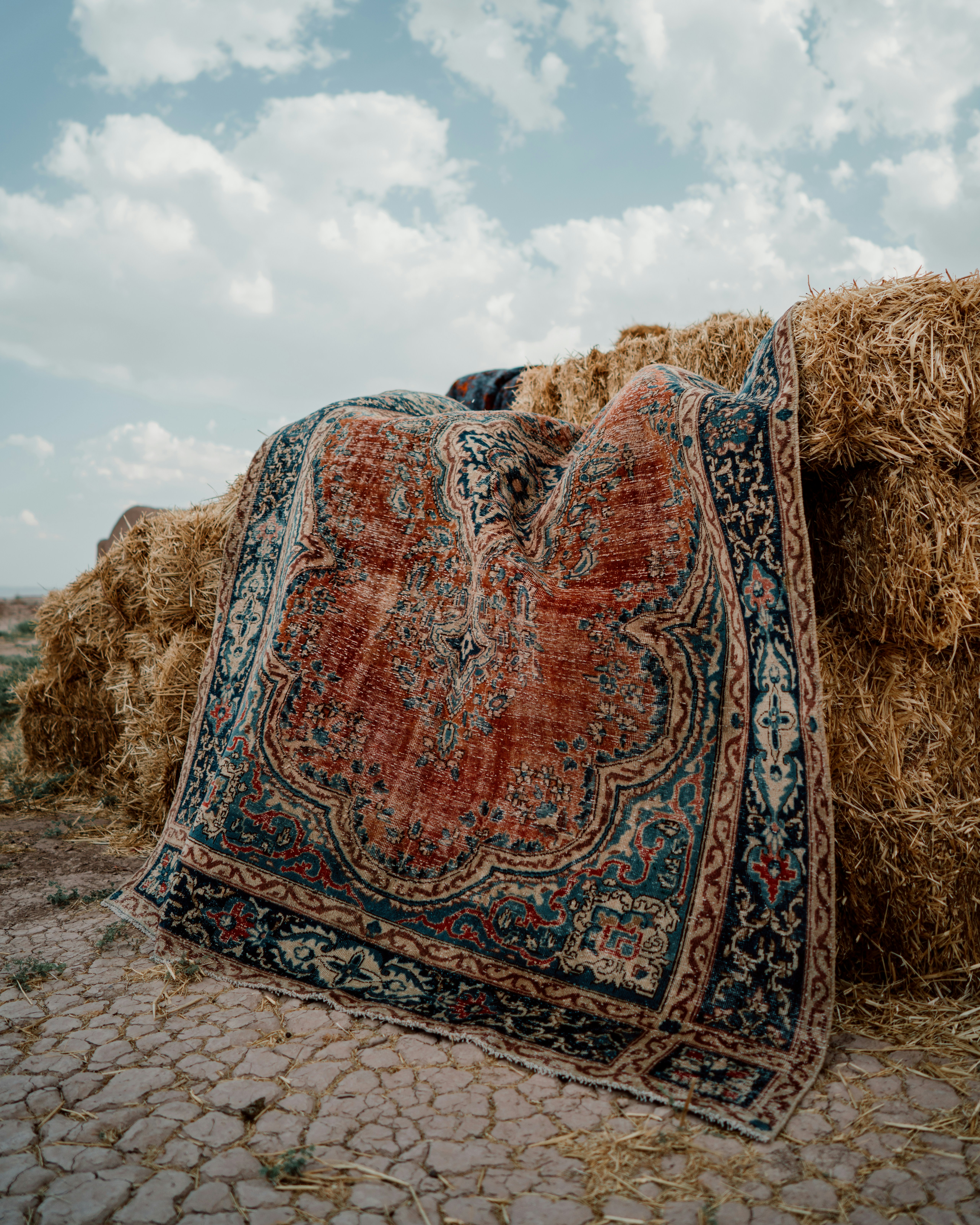 Textile brun et blanc sur le champ d’herbe brune pendant la journée ...