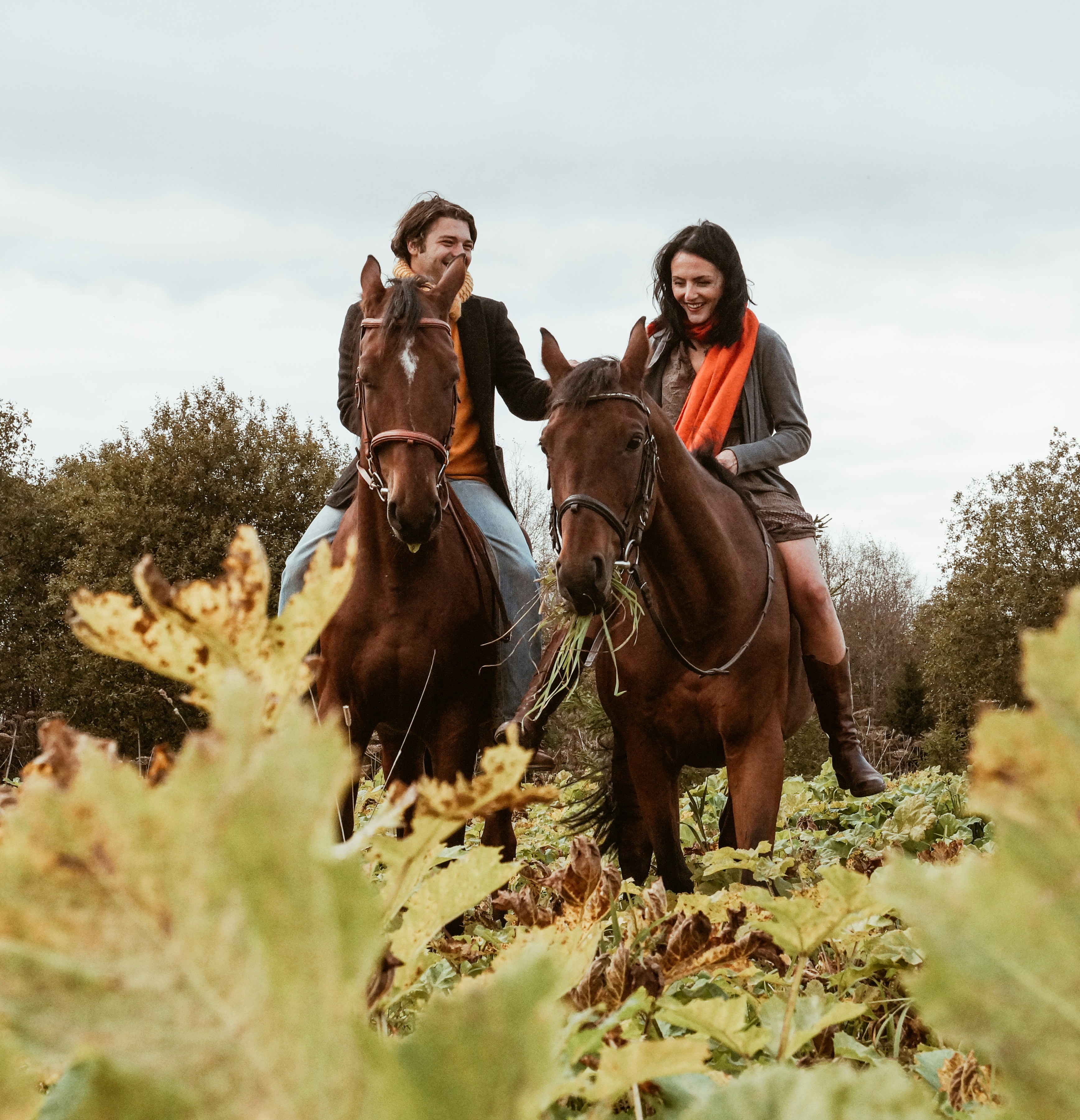 Two riders on horseback share a joyful moment in a lush, green field, surrounded by vibrant foliage. Their connection with nature and each other is palpable.