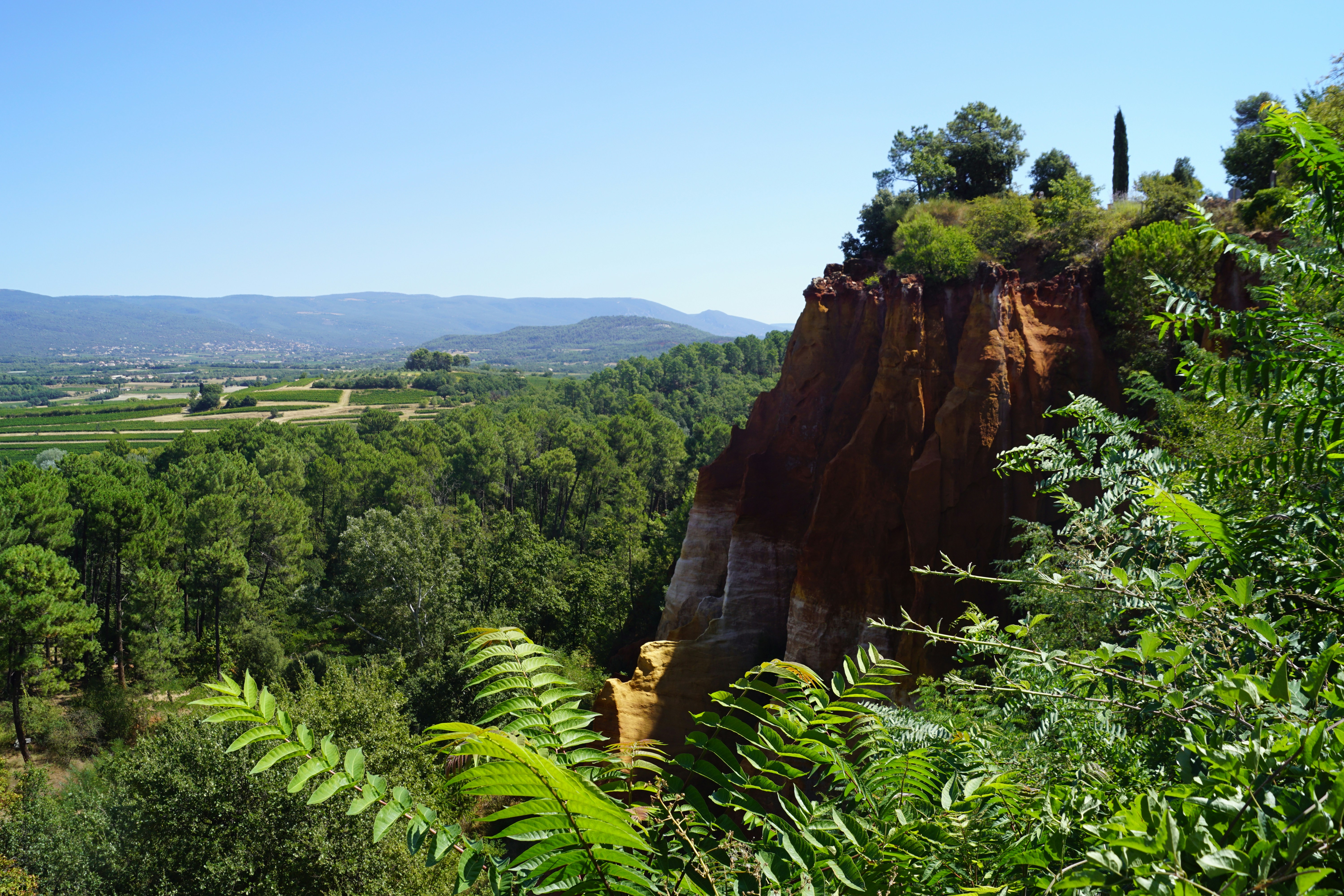 Vibrant ochre cliffs rise above a lush green landscape, framed by dense foliage and distant mountains. The scene captures the harmony of nature's colors and textures.