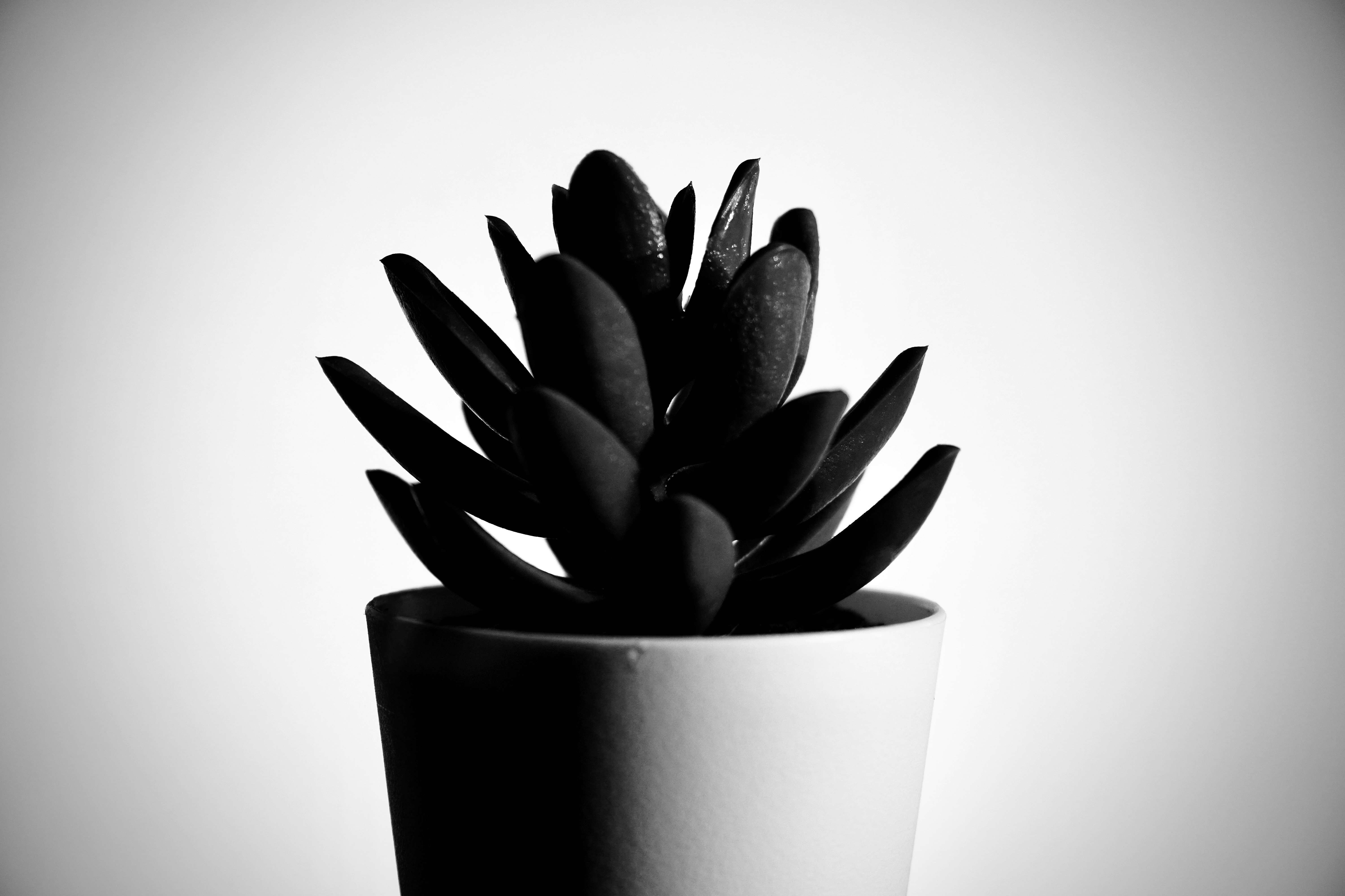 Photo by Binh Nguyen with Sony Alpha 6100