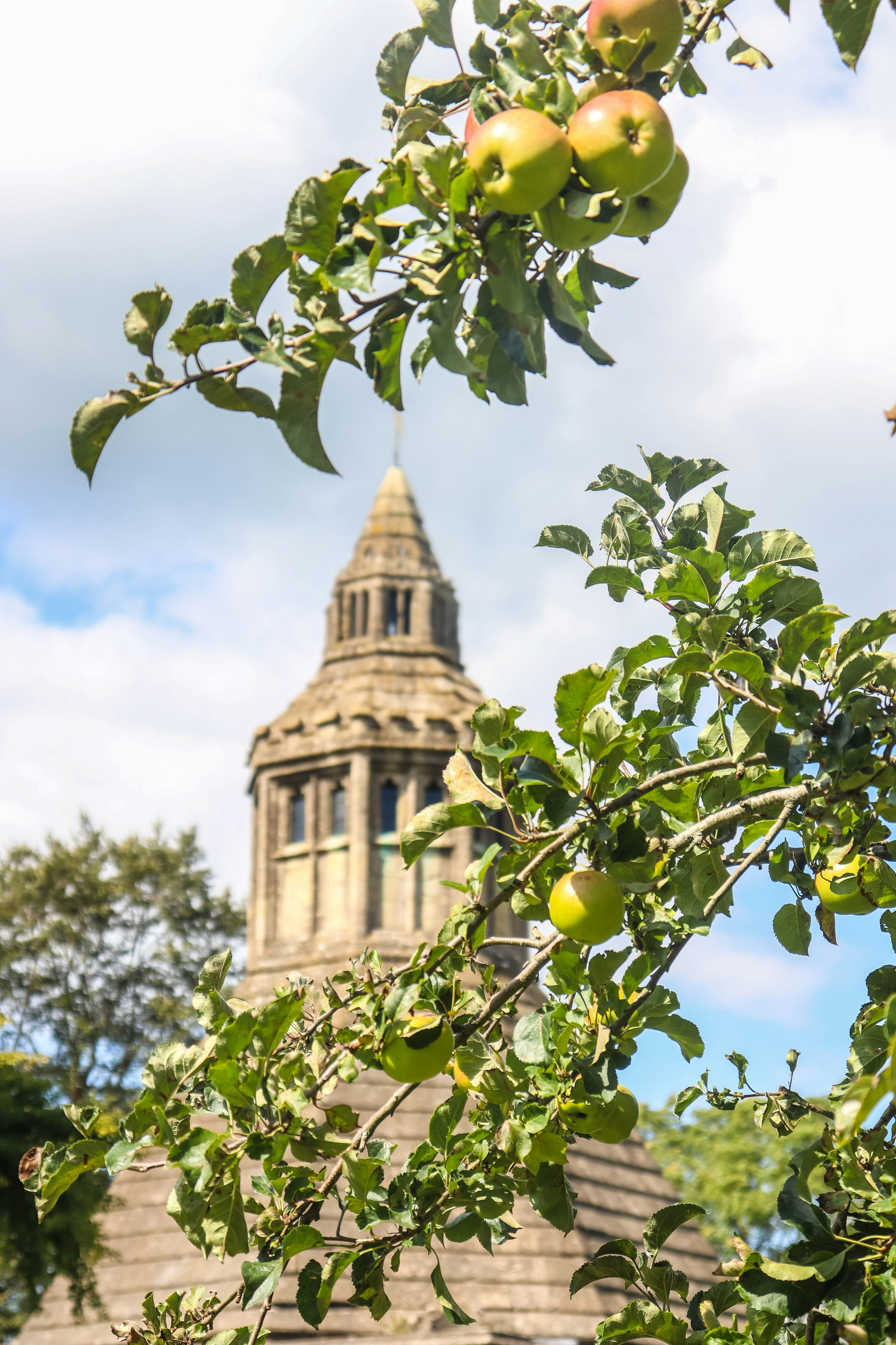 Thomas Allsop (@pollsa) | Comunidade de fotos da Unsplash