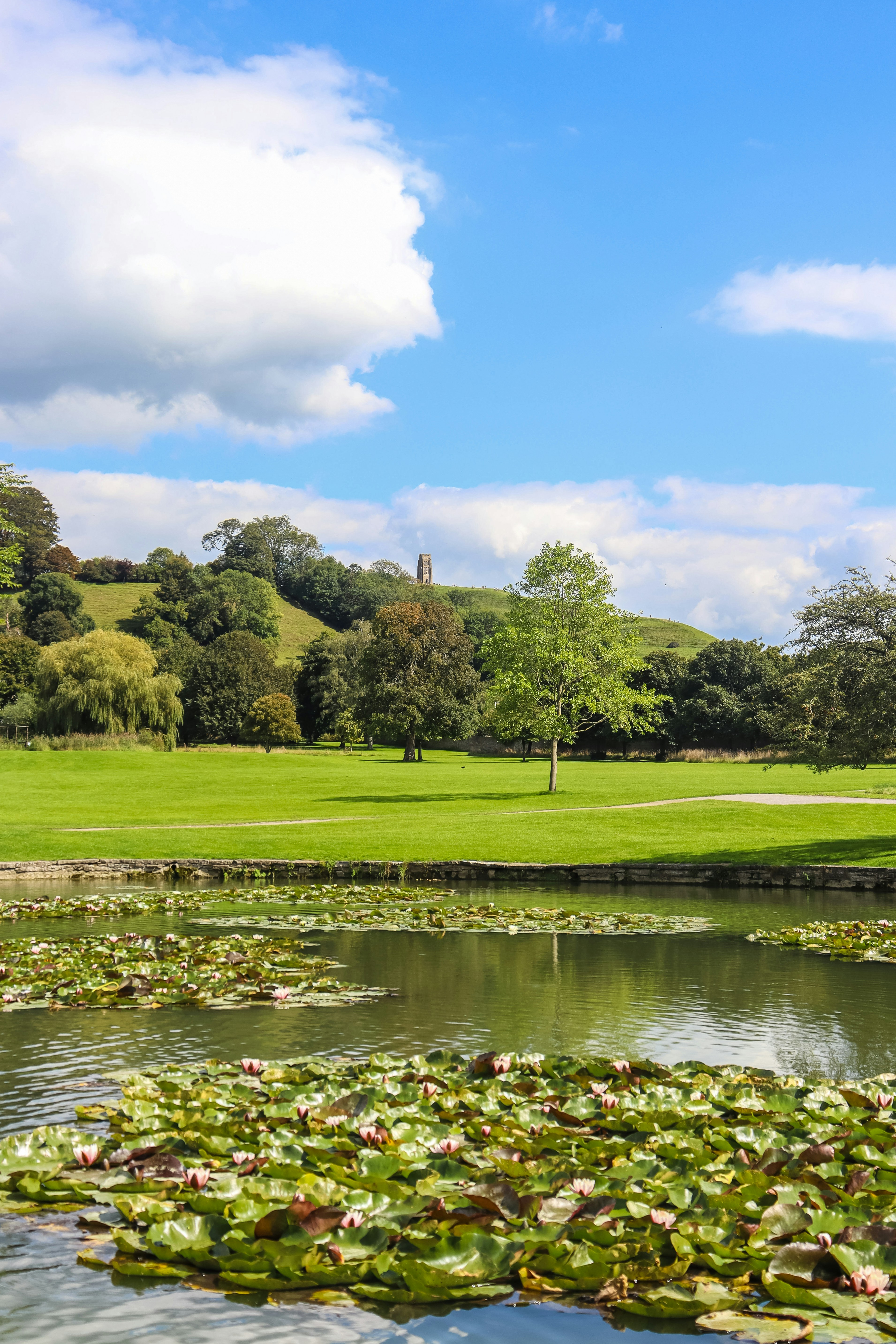 Green grass field near river under blue sky during daytime photo – Free ...