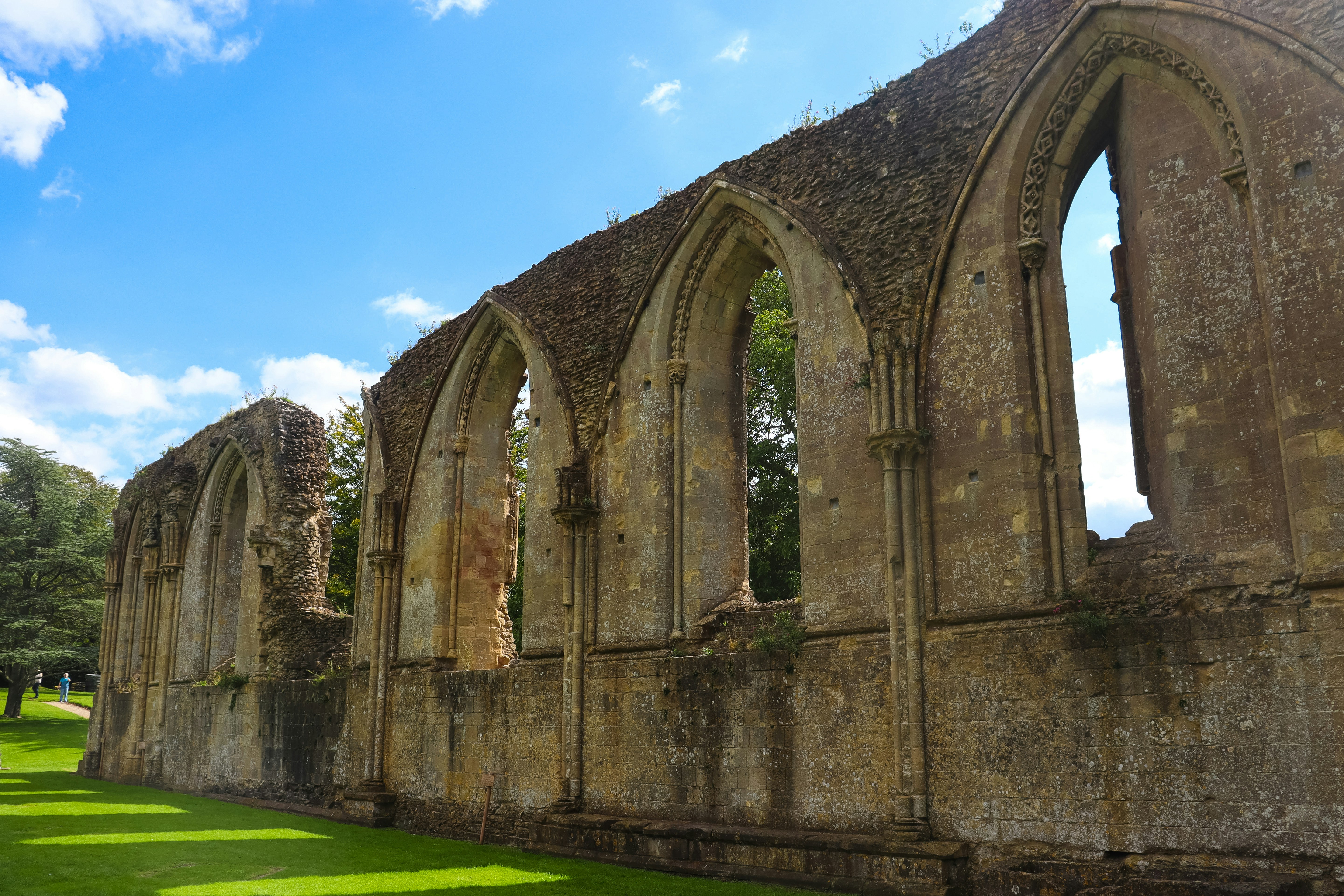 Thomas Allsop (@pollsa) | Comunidade de fotos da Unsplash