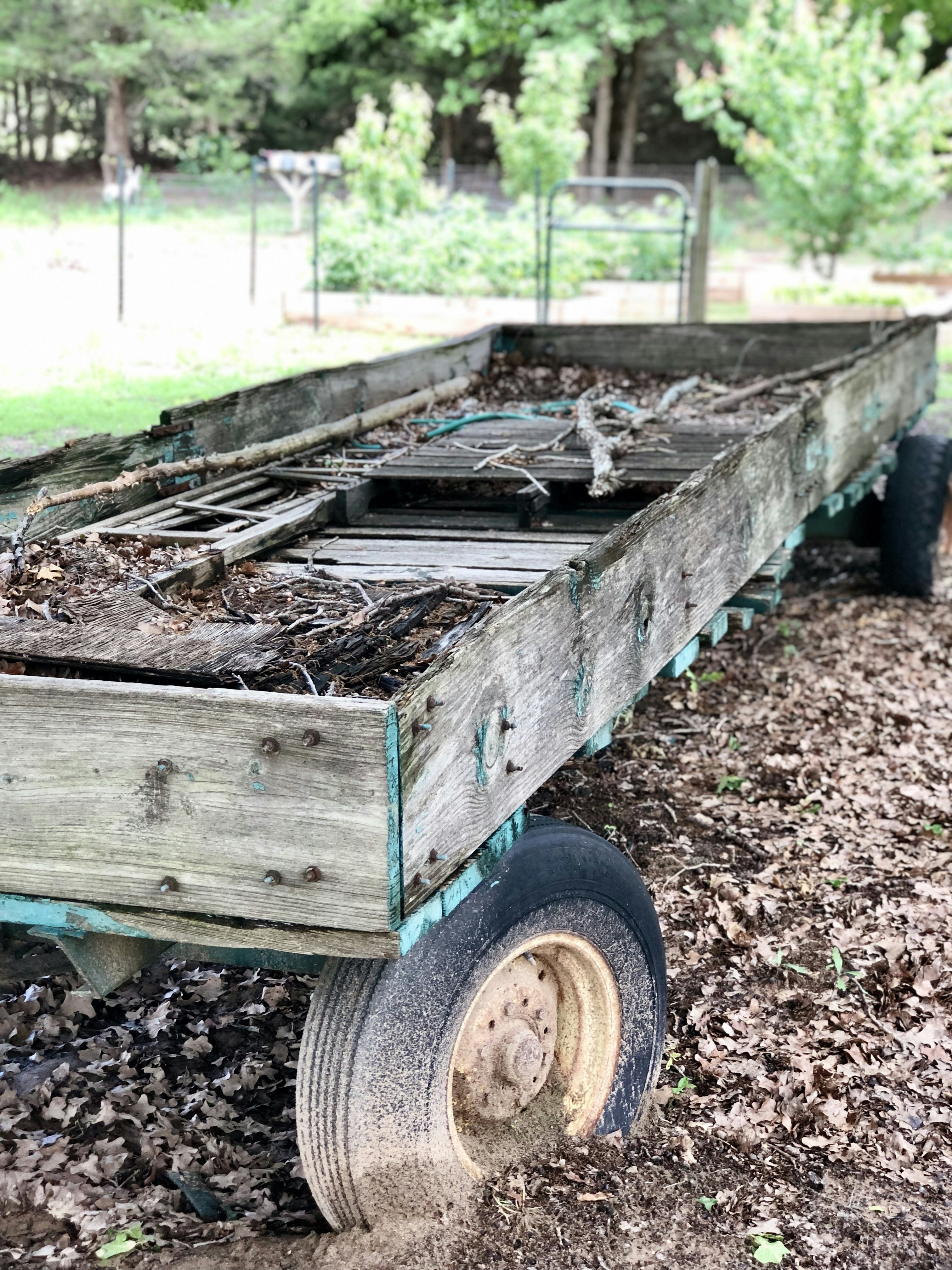 Timeworn Wagon Bed Resting in a Leaf-Strewn Park