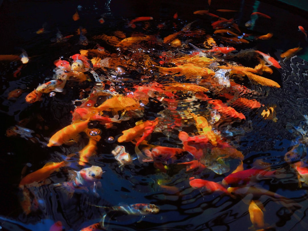 Sistem Pakan Ikan Otomatis: Integrasi Sensor Cuaca dan IoT untuk ... Sistem Pakan Ikan Otomatis: Integrasi Sensor Cuaca dan IoT untuk ...