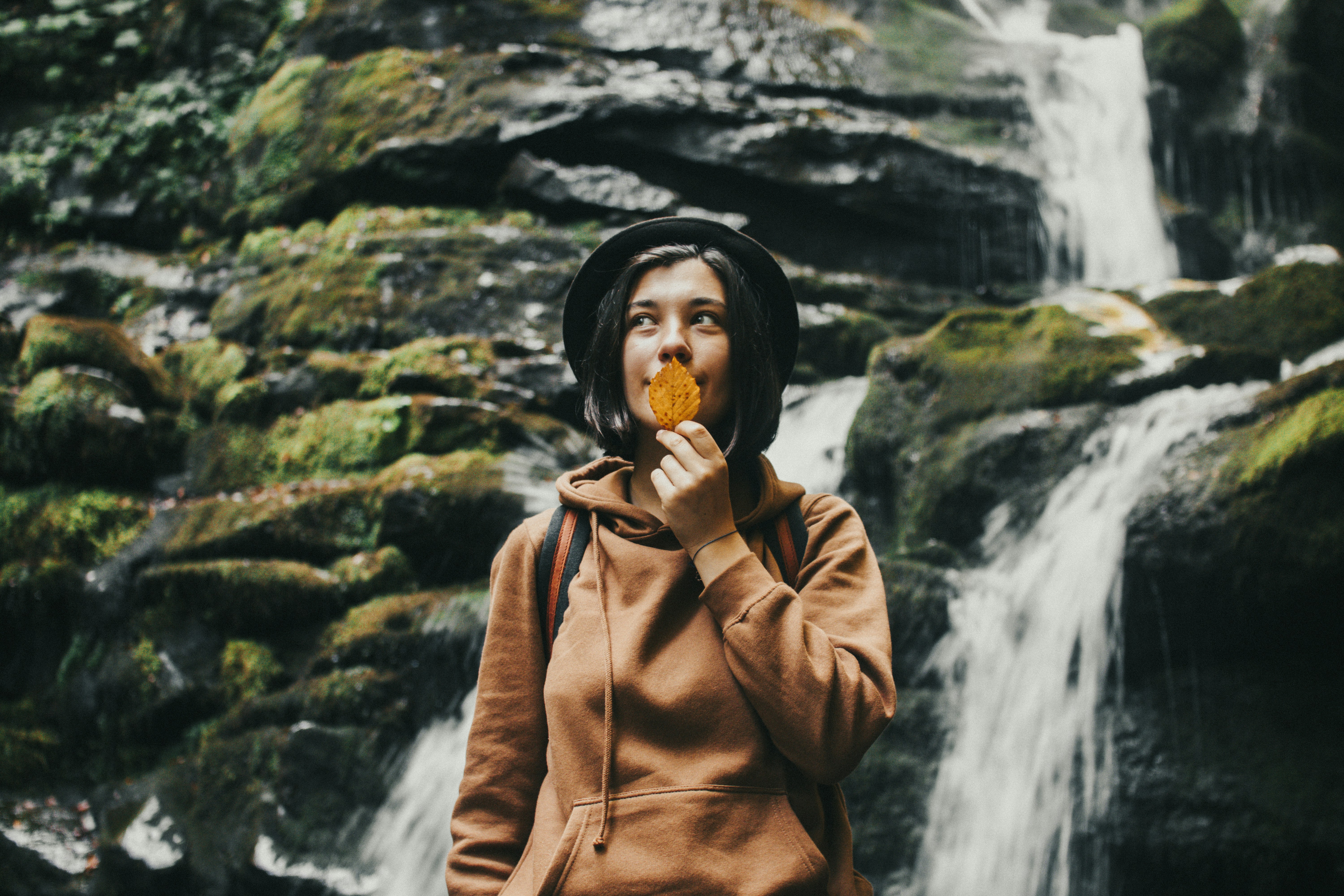 Orange Snack on a Mossy Stage