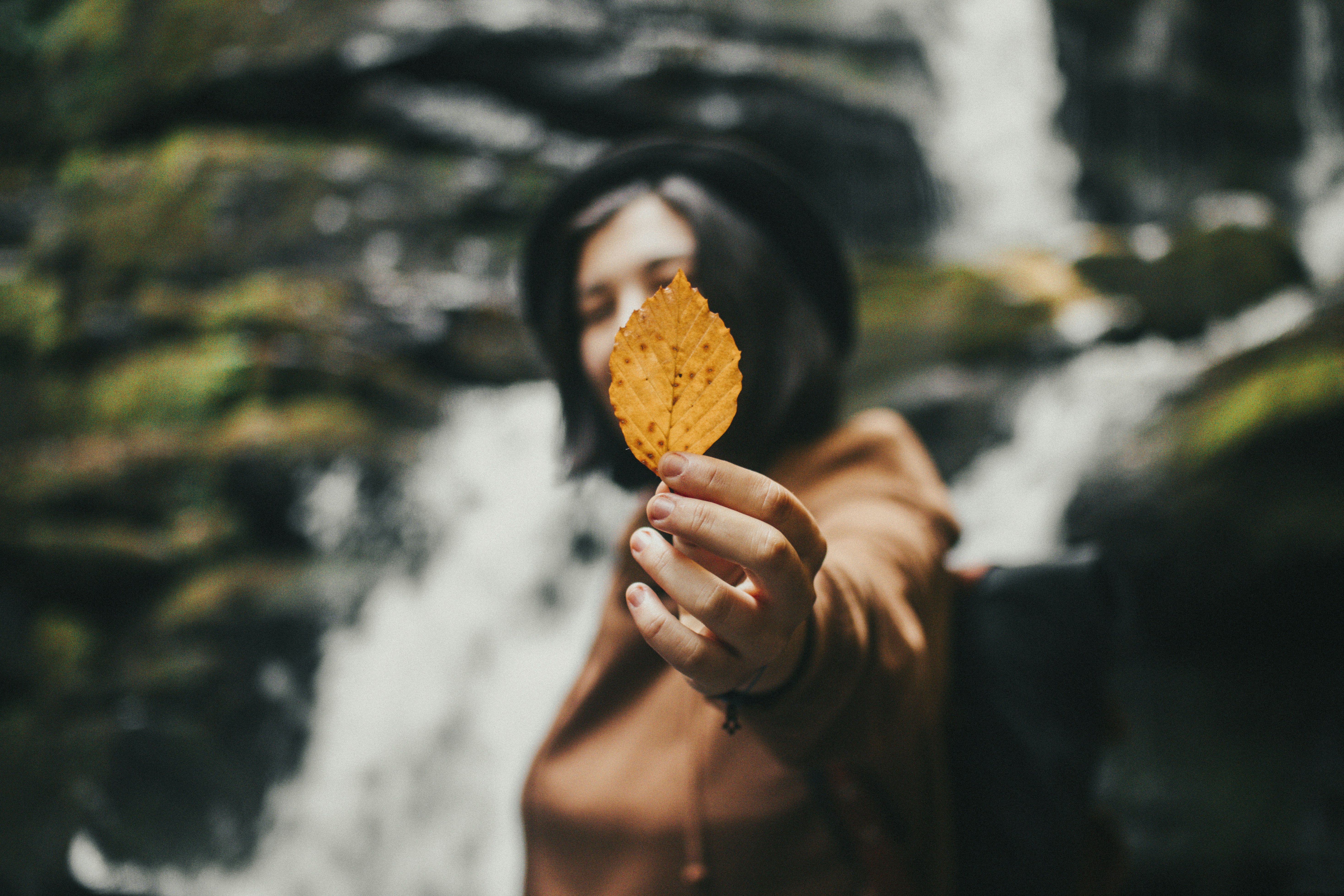 Leaf in Focus: A Hands‑on Portrait by the Falls