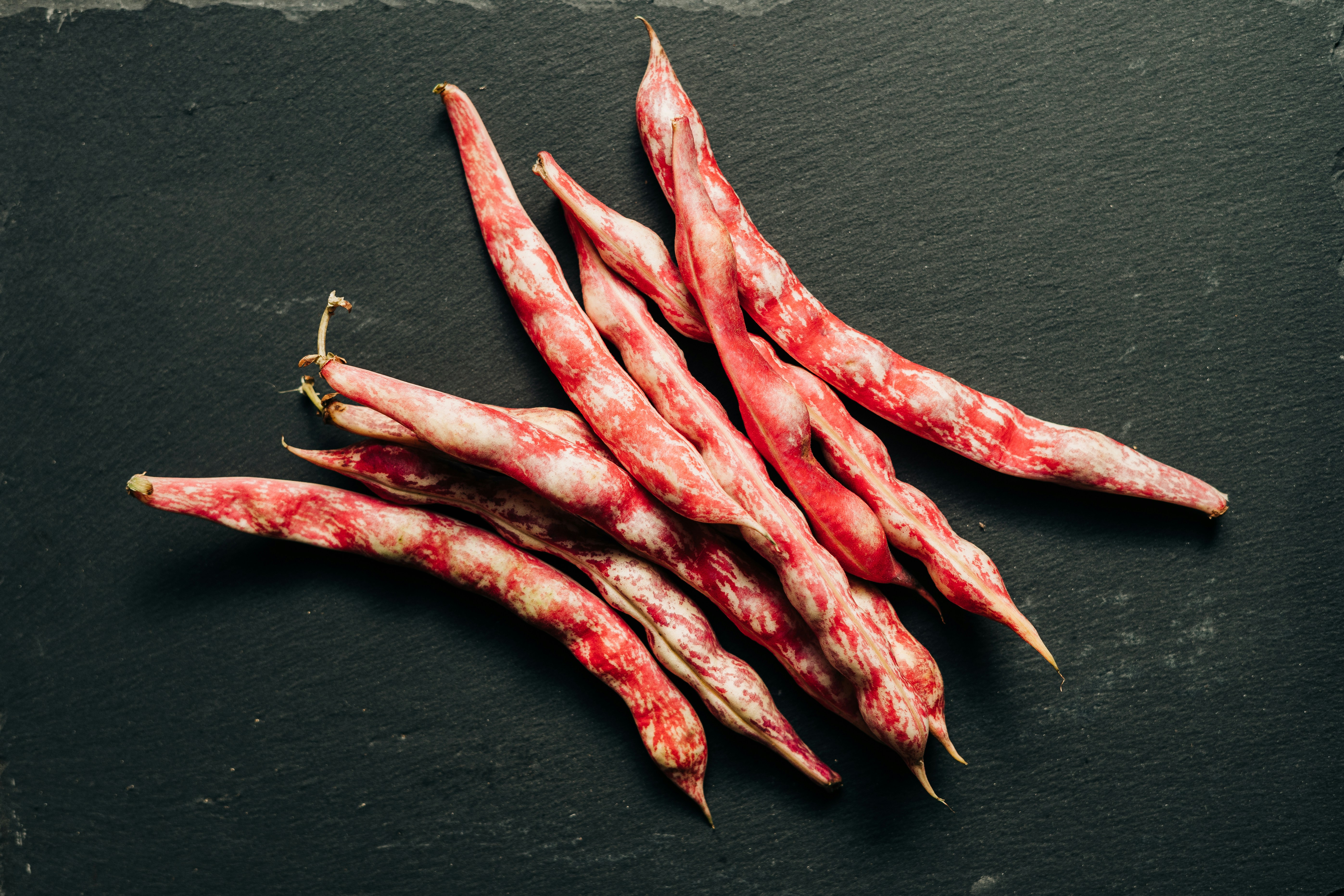 Crimson Threads on Slate: A Quiet Assembly of Red Bean Pods