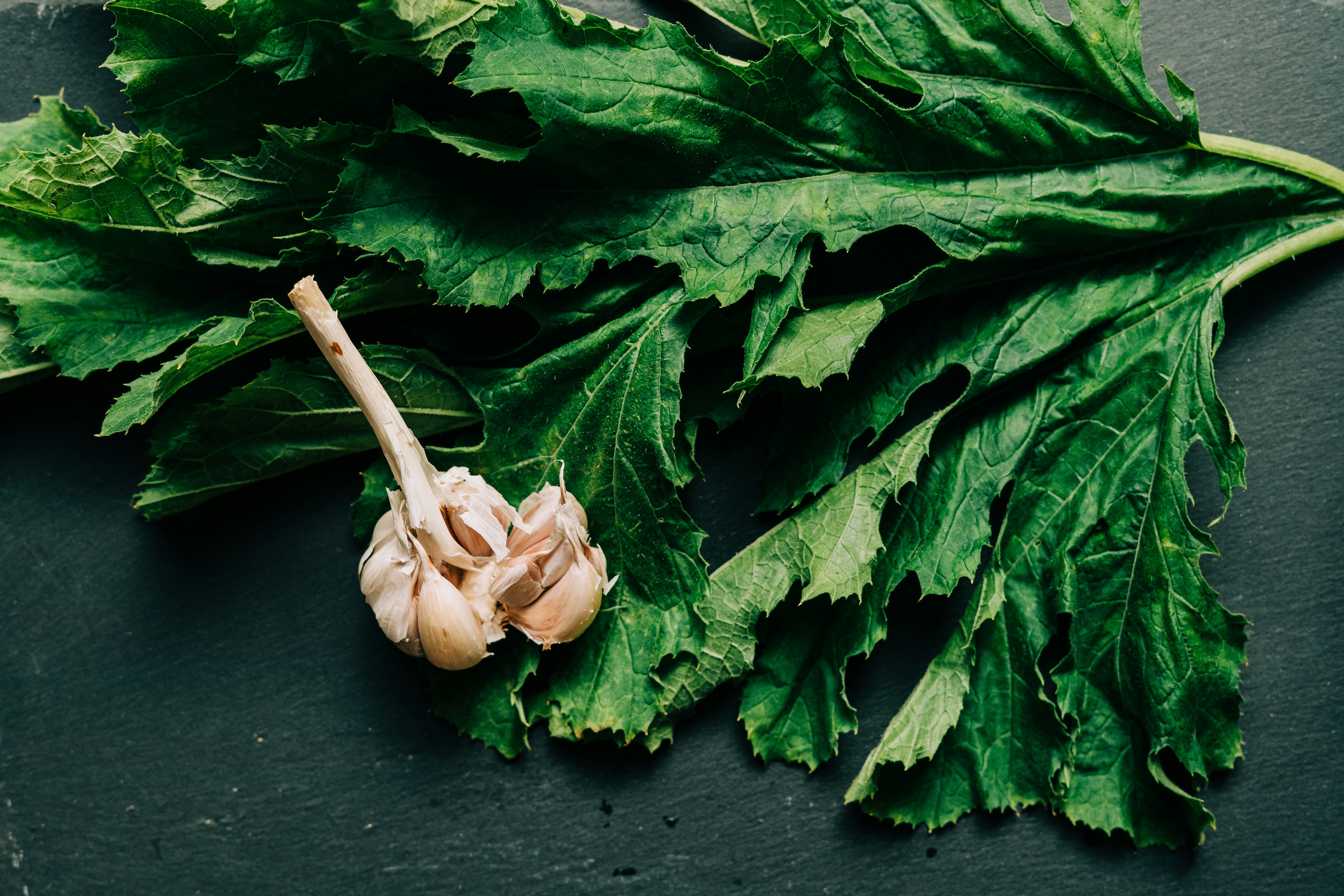 Garlic Cloves Nestled Beside Frilled Kale on a Slate Surface