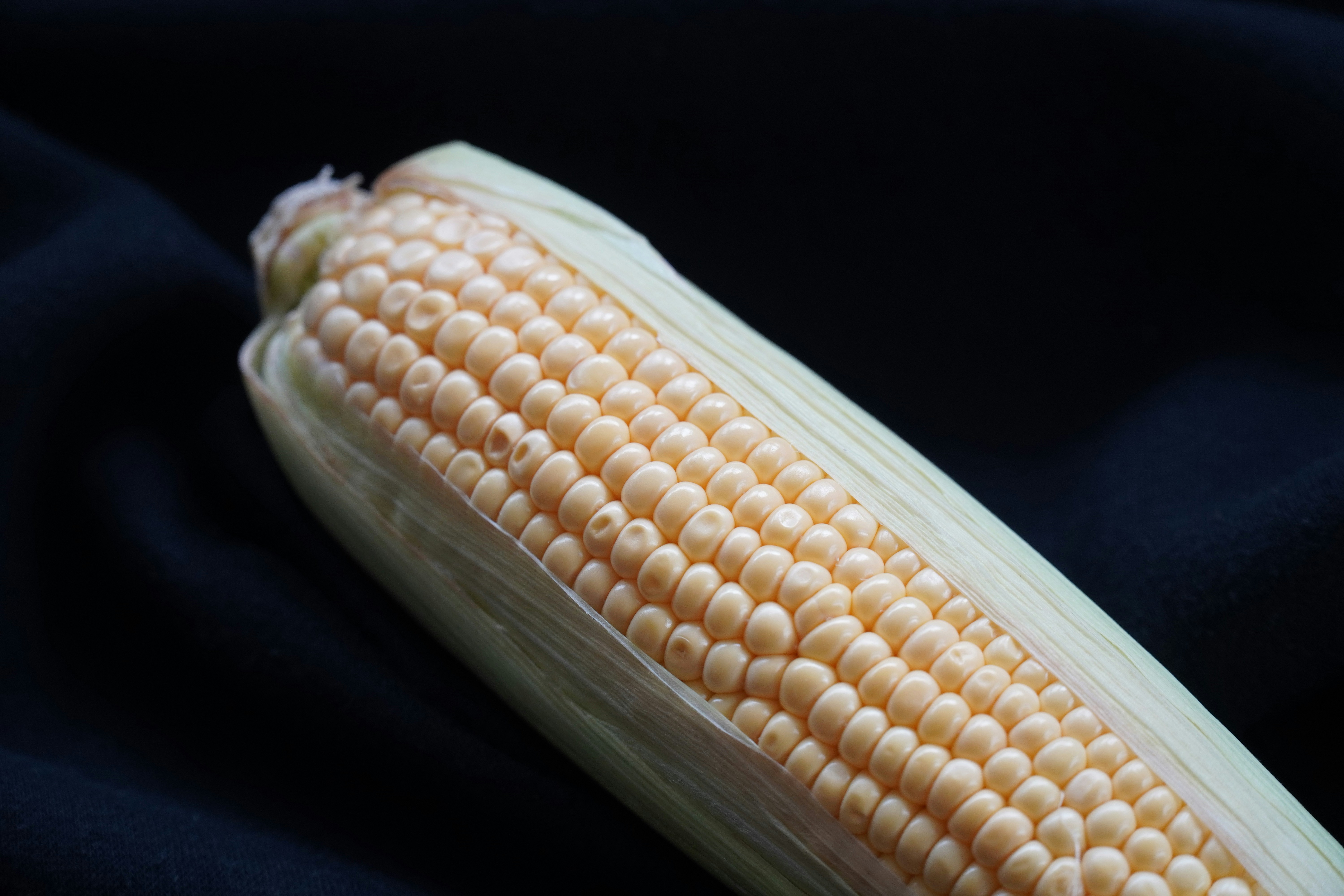 Close-up of a fresh ear of corn, showcasing its plump yellow kernels nestled within green husks. The contrast between the vibrant colors and textures highlights the natural beauty of this staple vegetable.