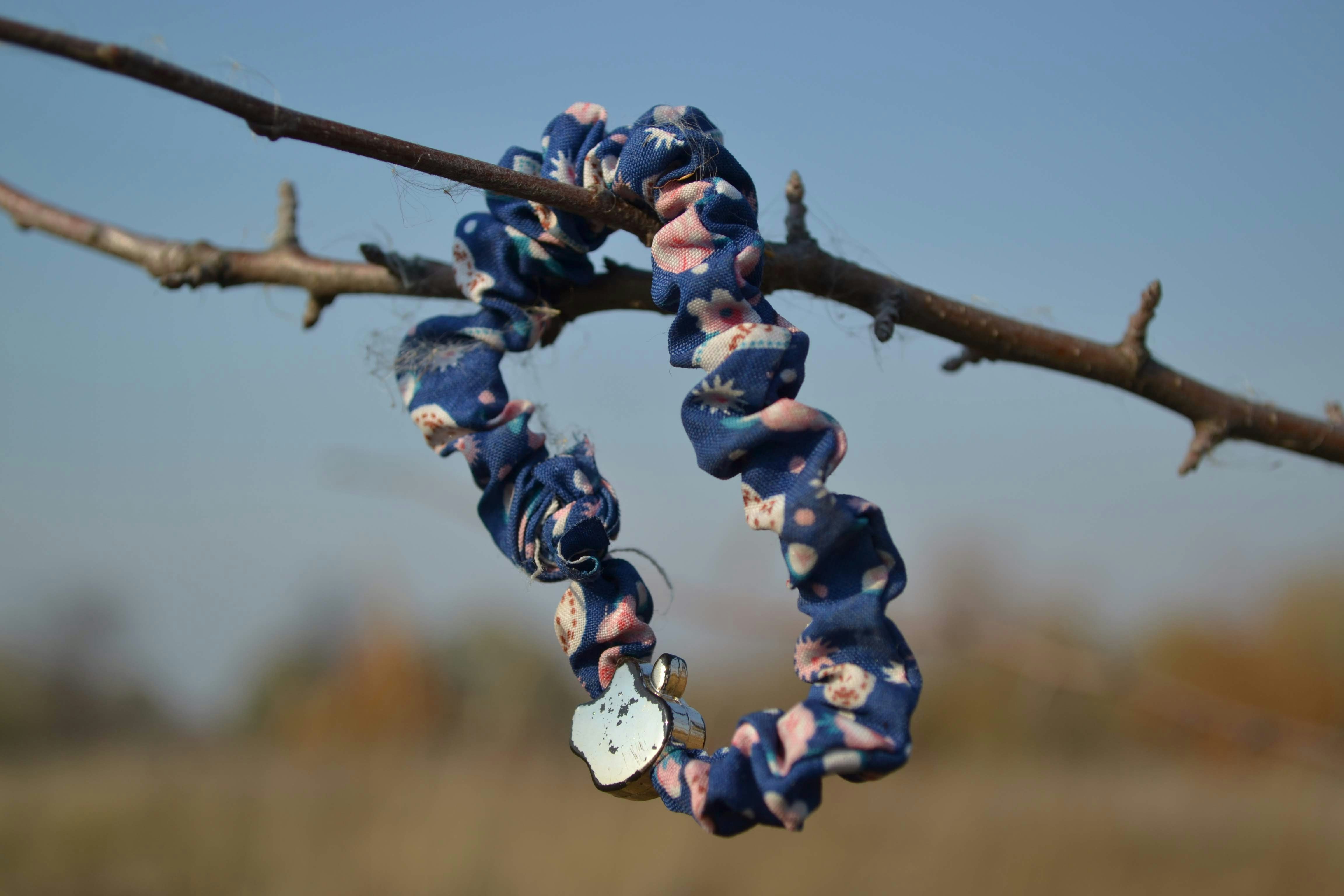 Hairband on the branch | blue berries on brown tree branch