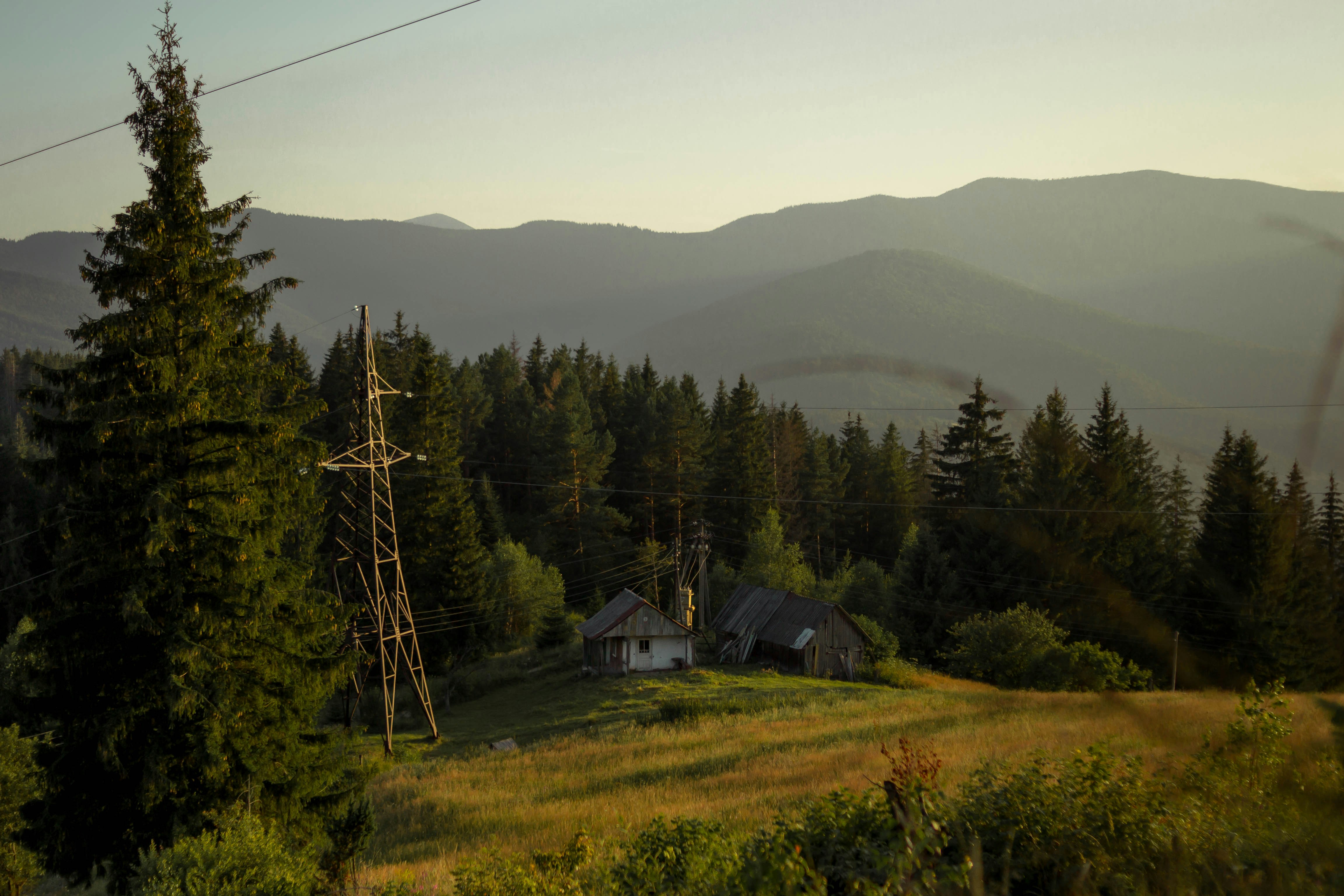 A rustic house nestled among towering trees, with distant mountains creating a serene backdrop. Power lines stretch across the landscape.