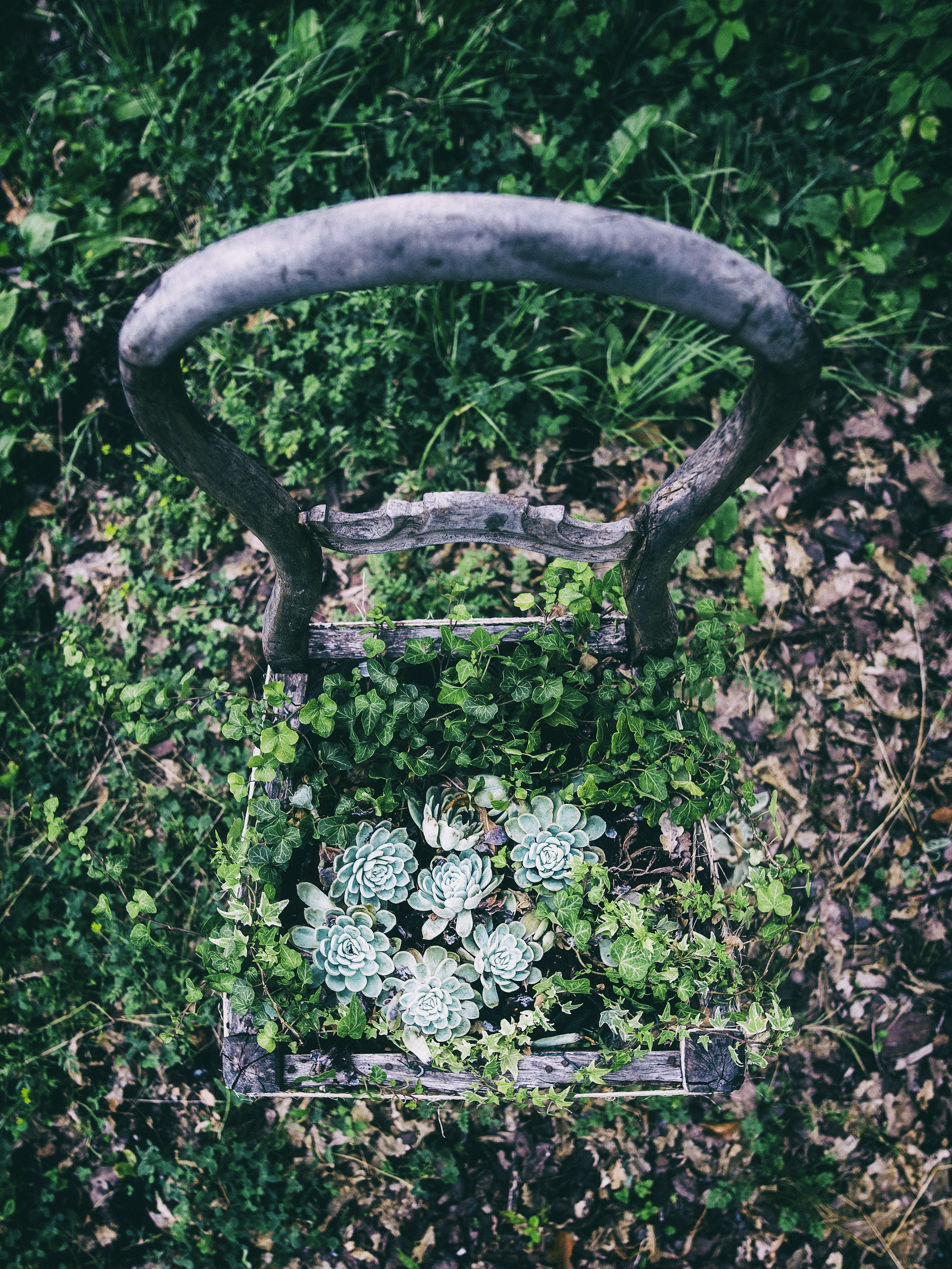 white and green flower petals on black metal frame