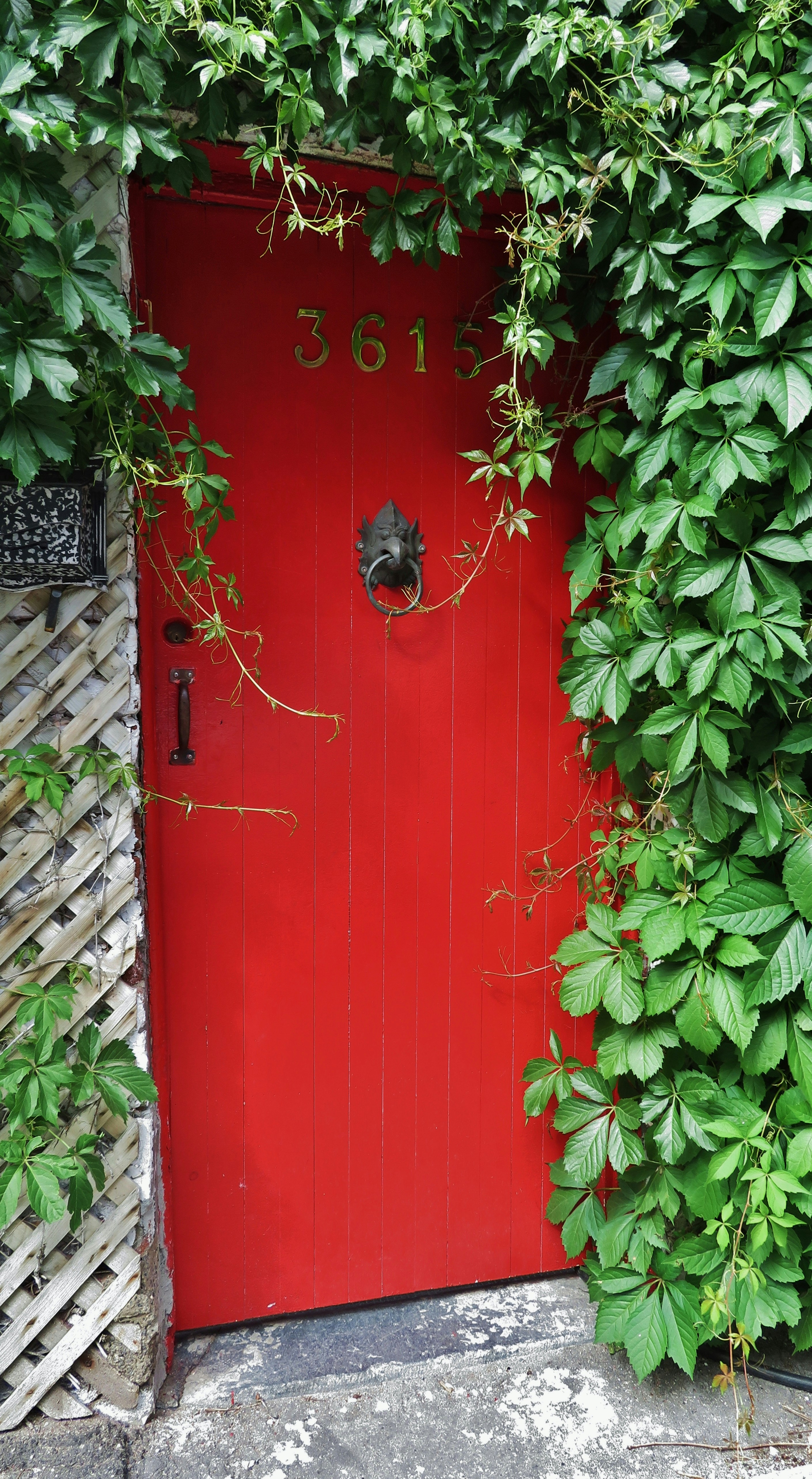 Vibrant red door adorned with a lion's head knocker, entwined in lush green vines, inviting curiosity and mystery.