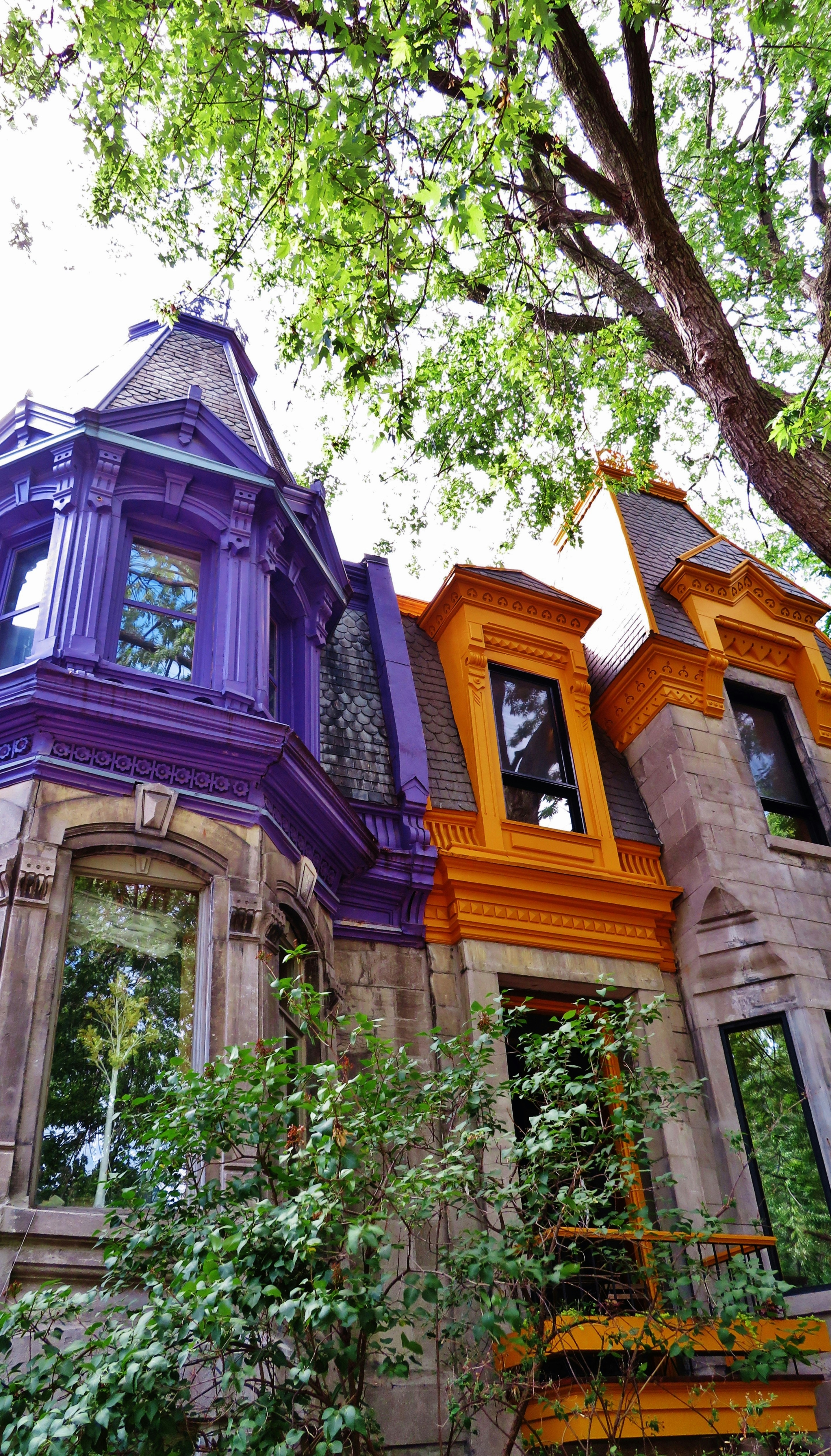 Colorful Victorian-style houses with purple and orange facades, framed by lush greenery. The architectural details highlight the charm of the neighborhood.