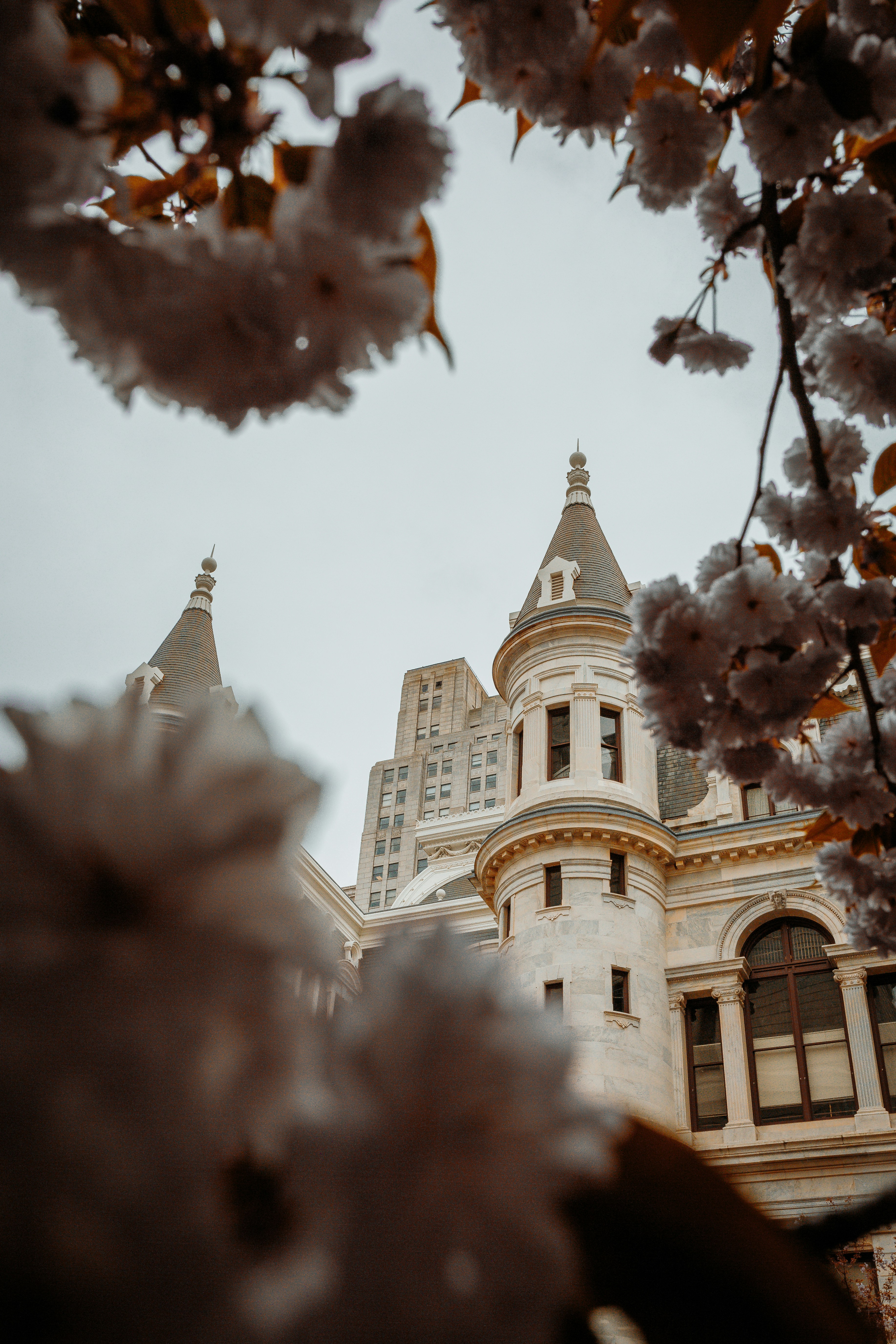 Turreted Facade Framed by Spring Blooms