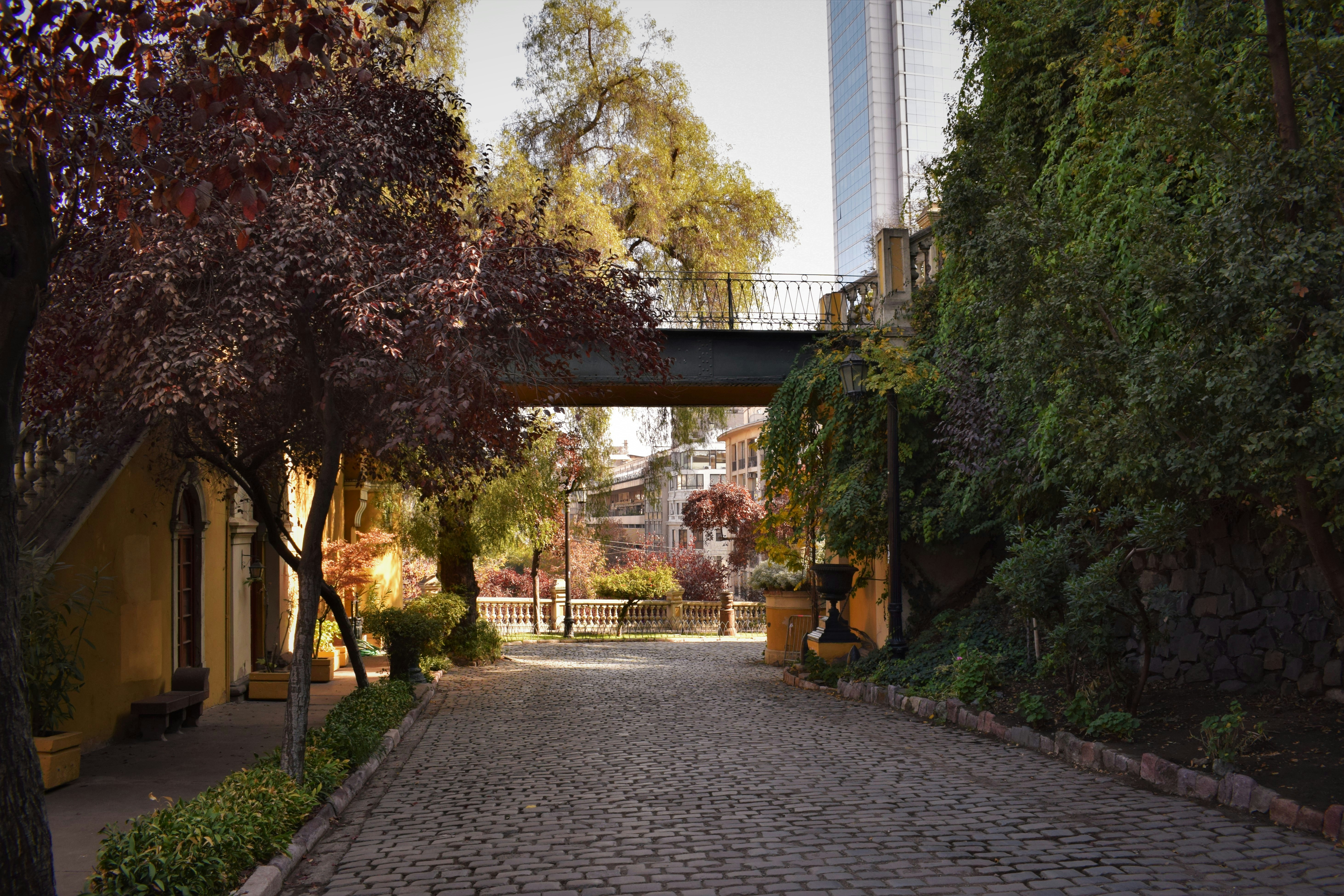 Cobblestone path flanked by lush greenery and a quaint bridge under a clear sky.