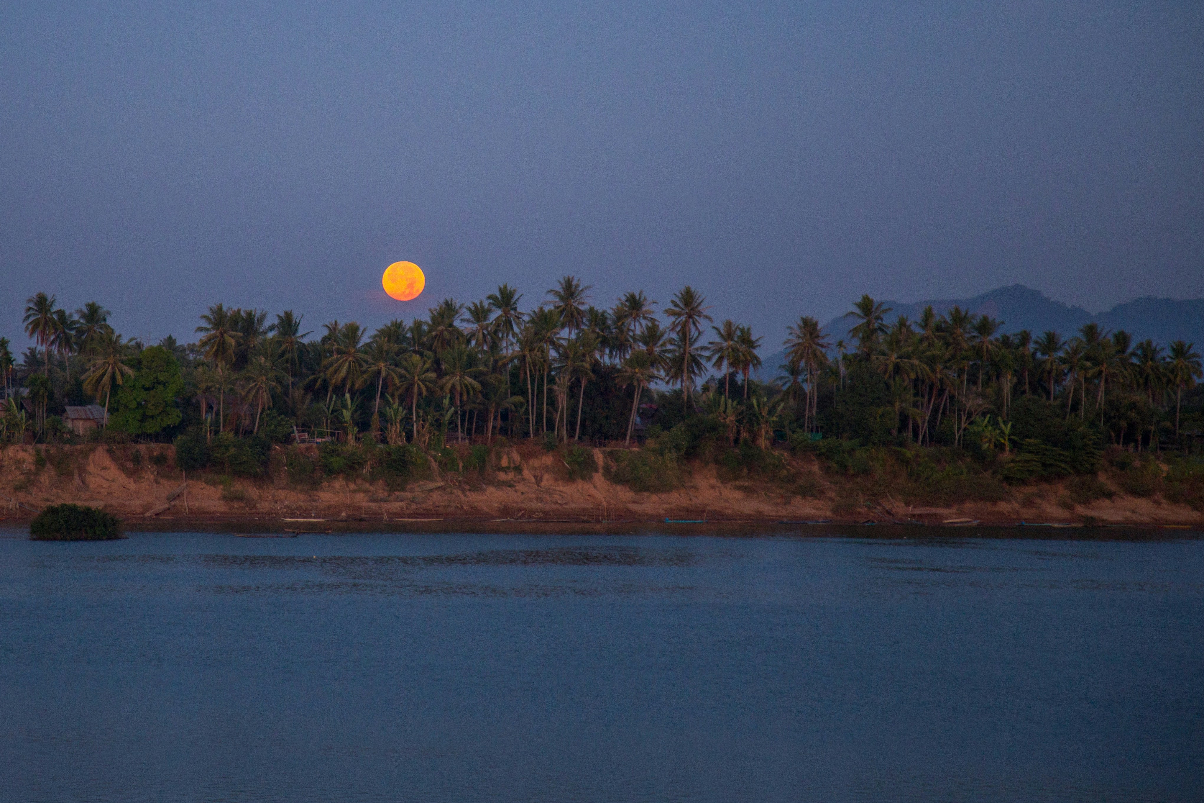 Moonlit Palm Shore: A Calm Lagoon Under a Distant Dusk